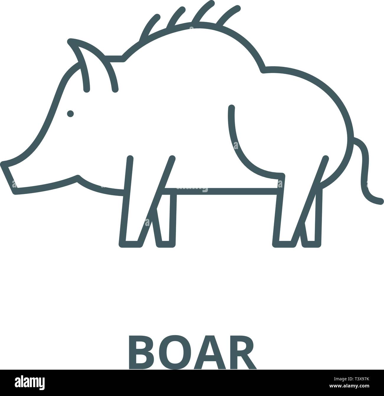 Boar line icon, vector. Boar outline sign, concept symbol, flat ...