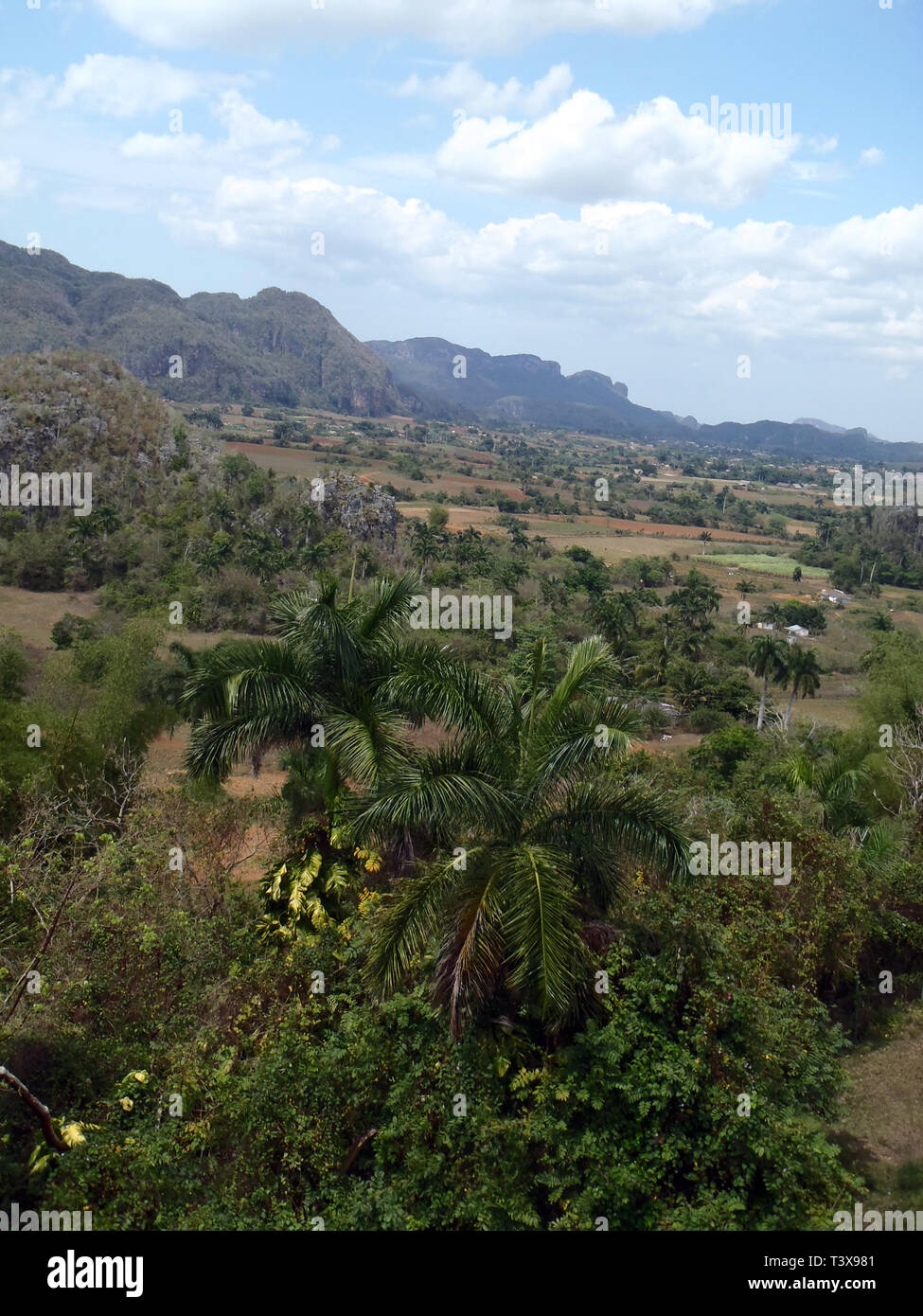 Valley of Vinales with mogotes, Cuba Stock Photo - Alamy