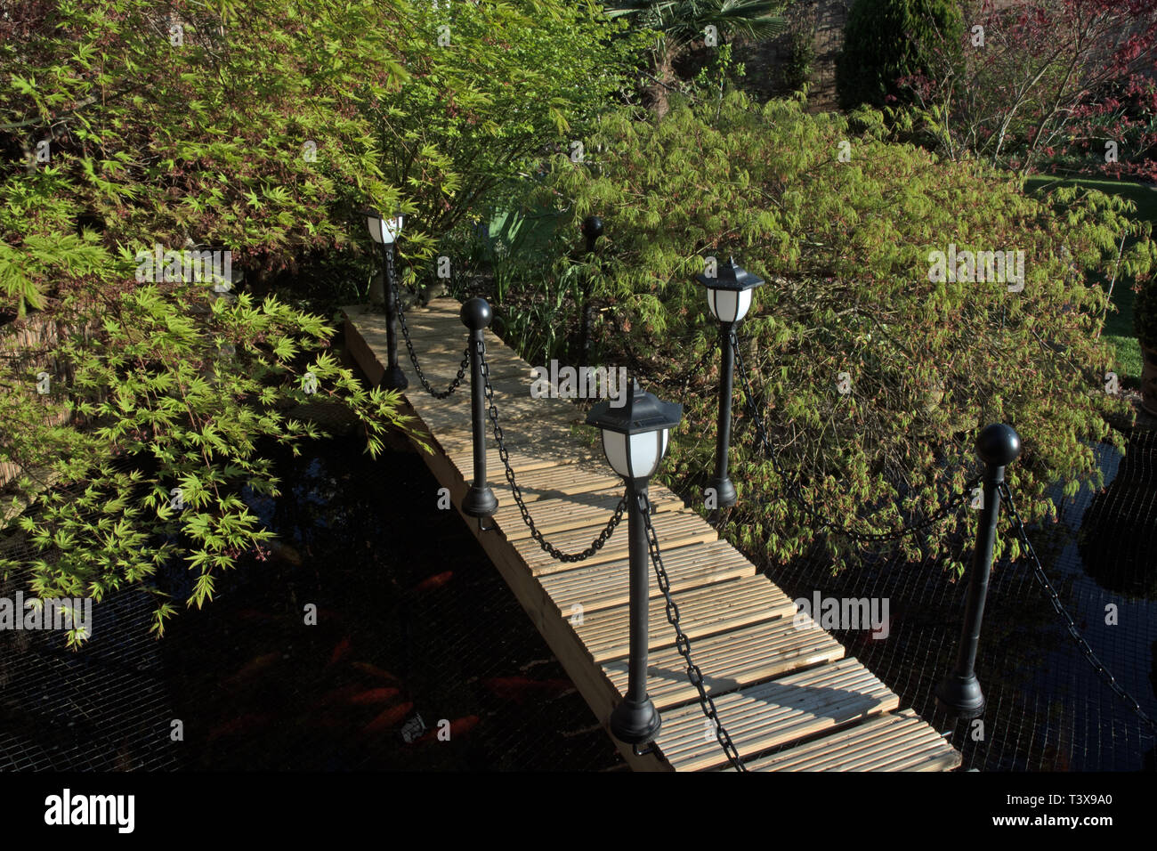 Solar path lights hi-res stock photography and images - Alamy