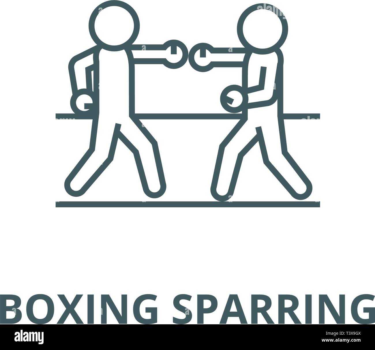 Boxing sparring line icon, vector. Boxing sparring outline sign ...