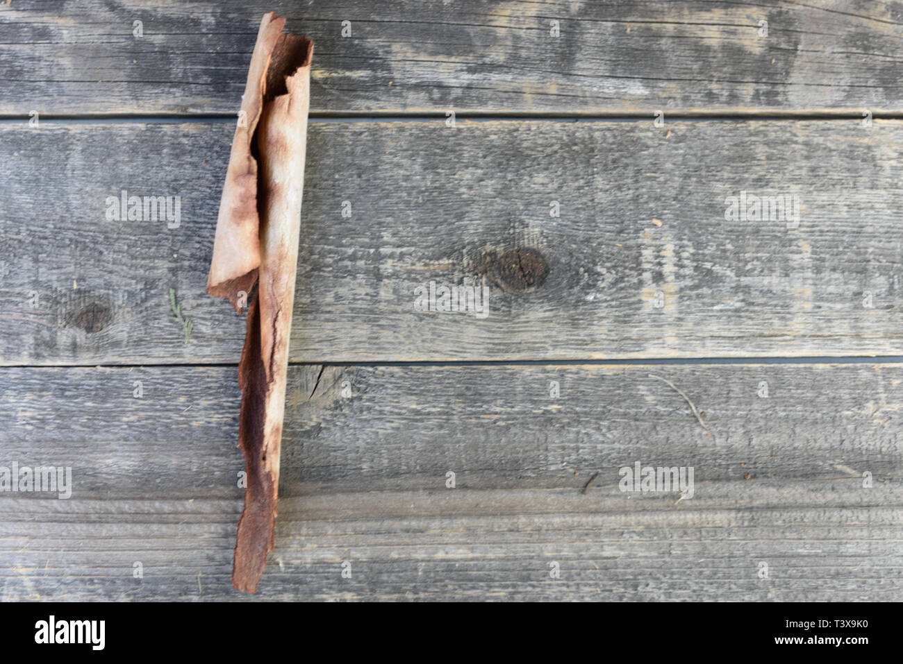 Tree Bark rolled up and arranged against a weather wood background ...