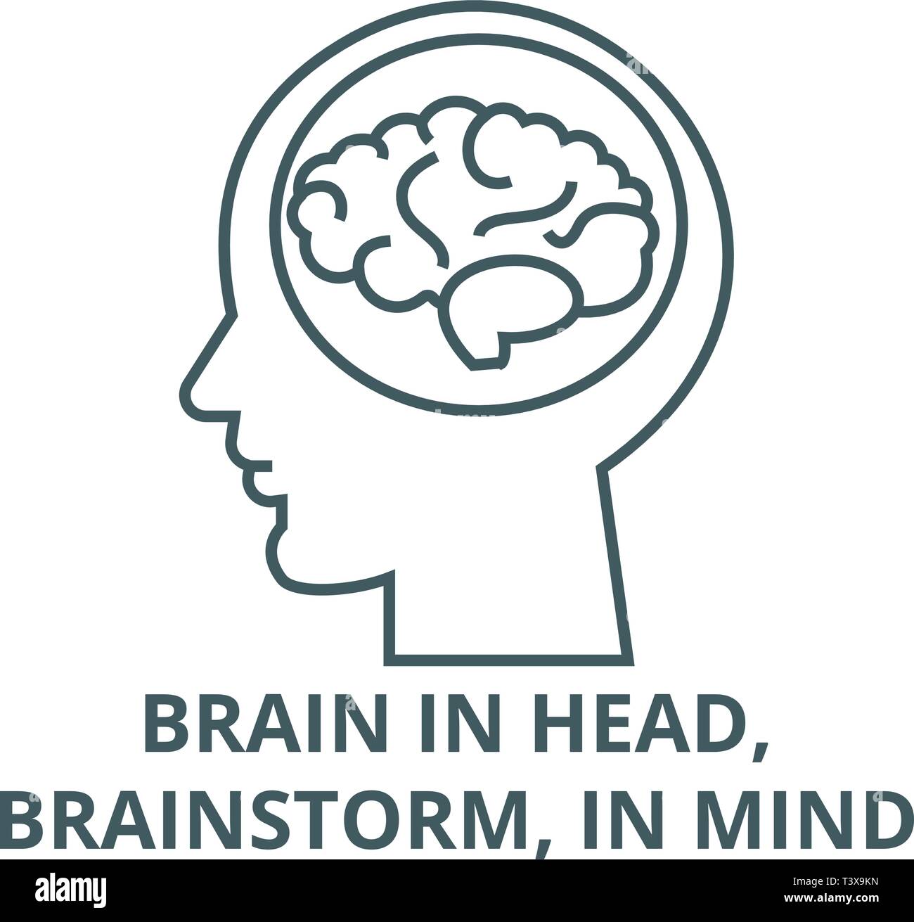 Brain in head,brainstorm, in mind line icon, vector. Brain in head ...