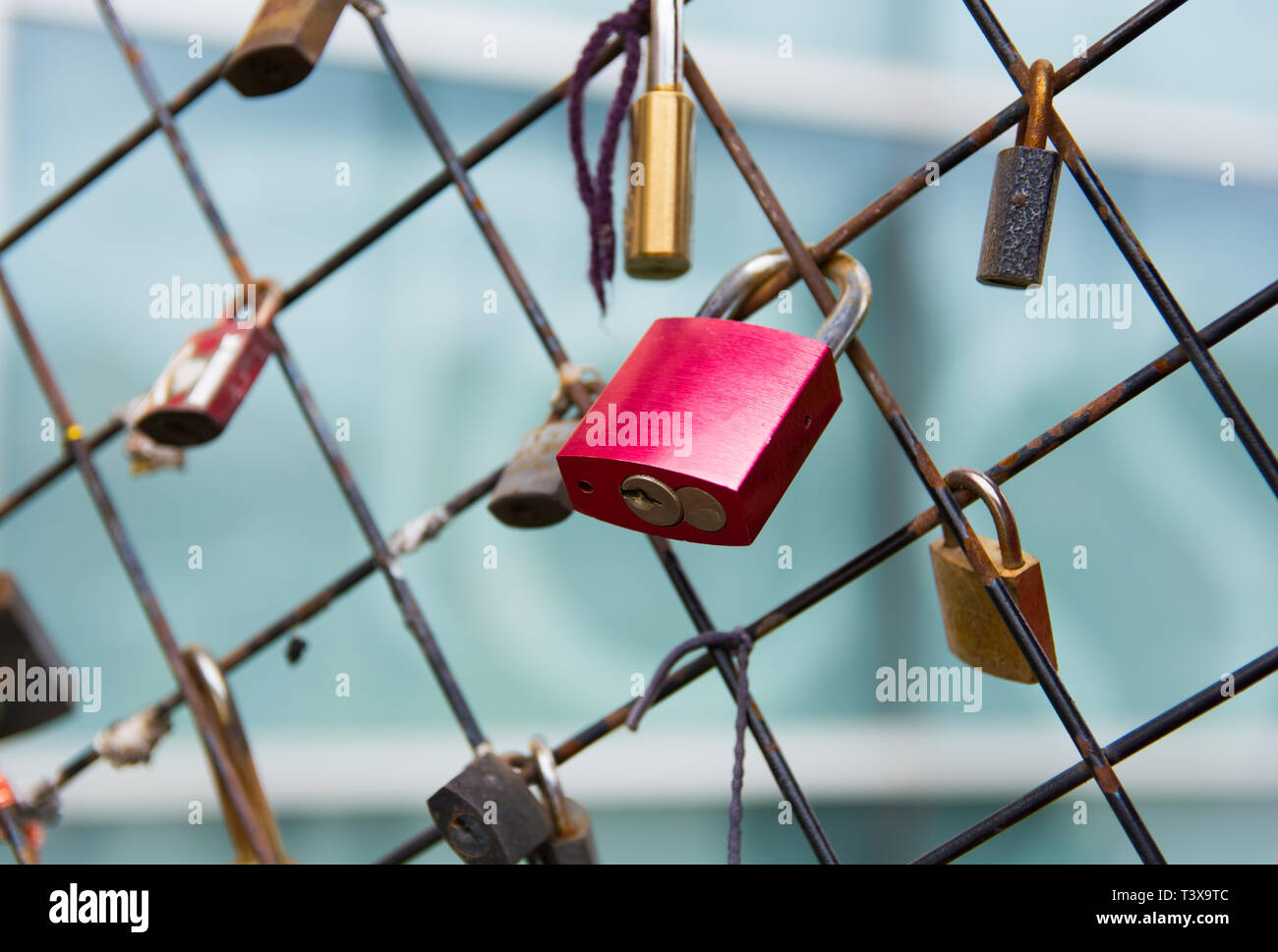 love locks. Symbols of the lovers, padlocks on the day of the lovers ...