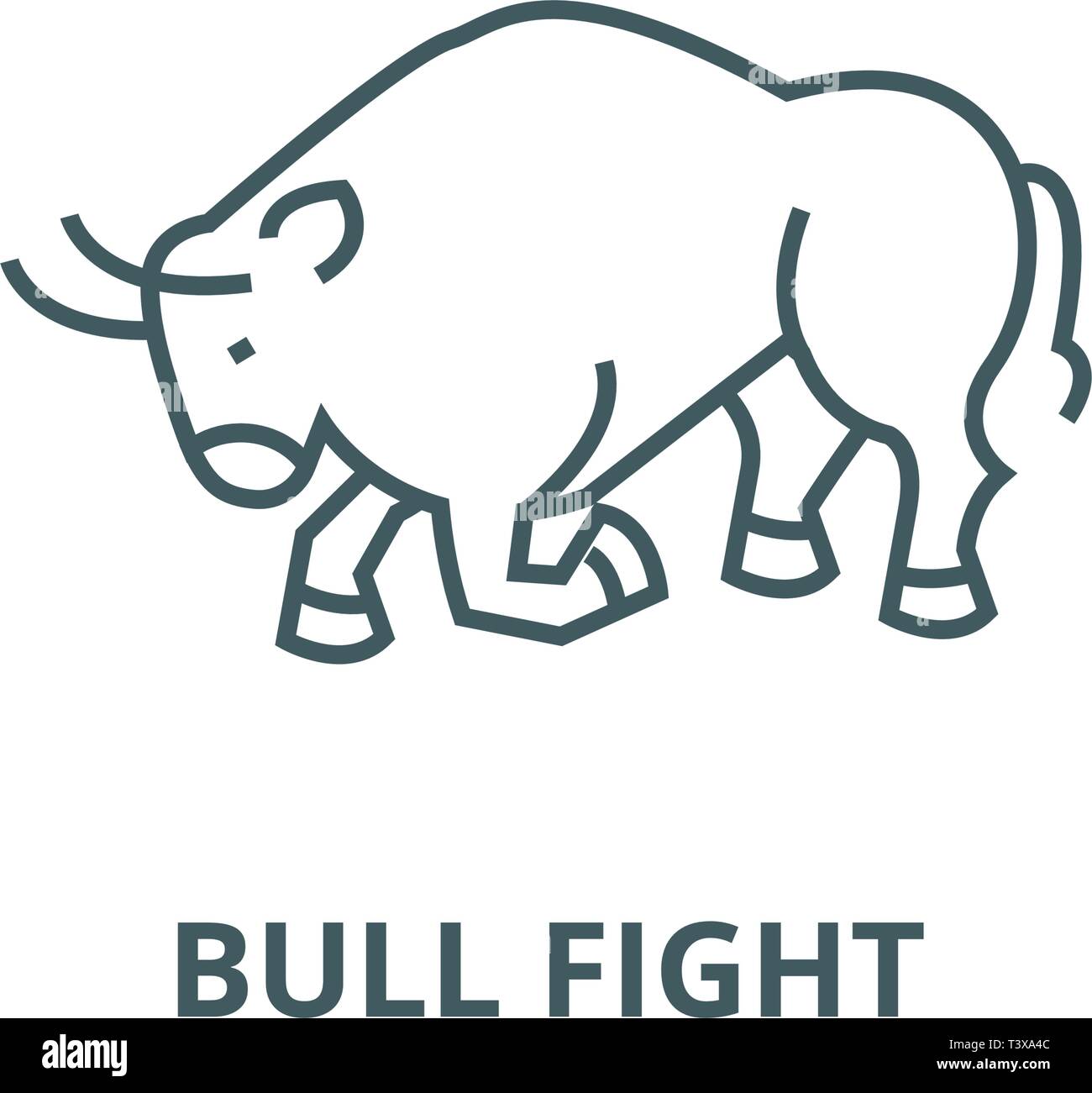 Spanish Bullfighting Drawing