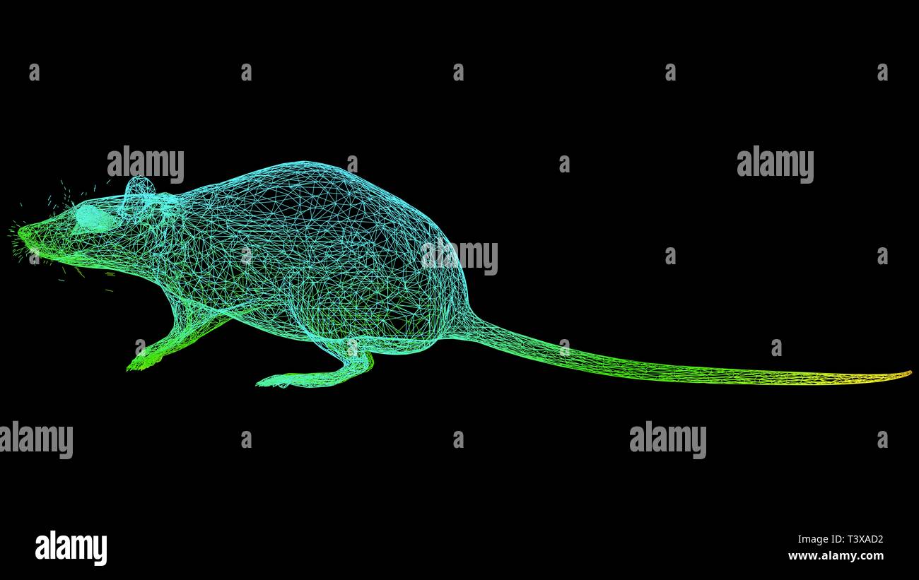 Rat lines hi-res stock photography and images - Alamy