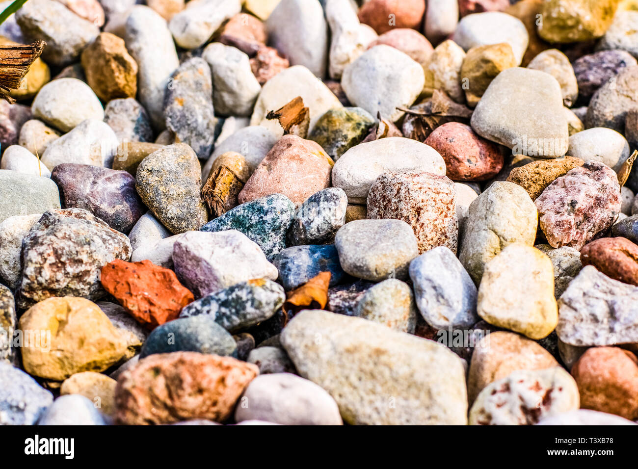 Landscape architecture, interior design and nature elements concept ...