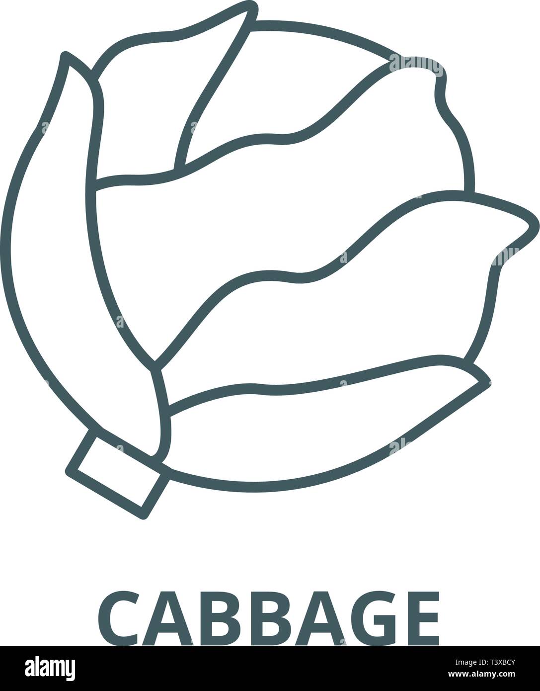 Cabbage Logo High Resolution Stock Photography and Images - Alamy