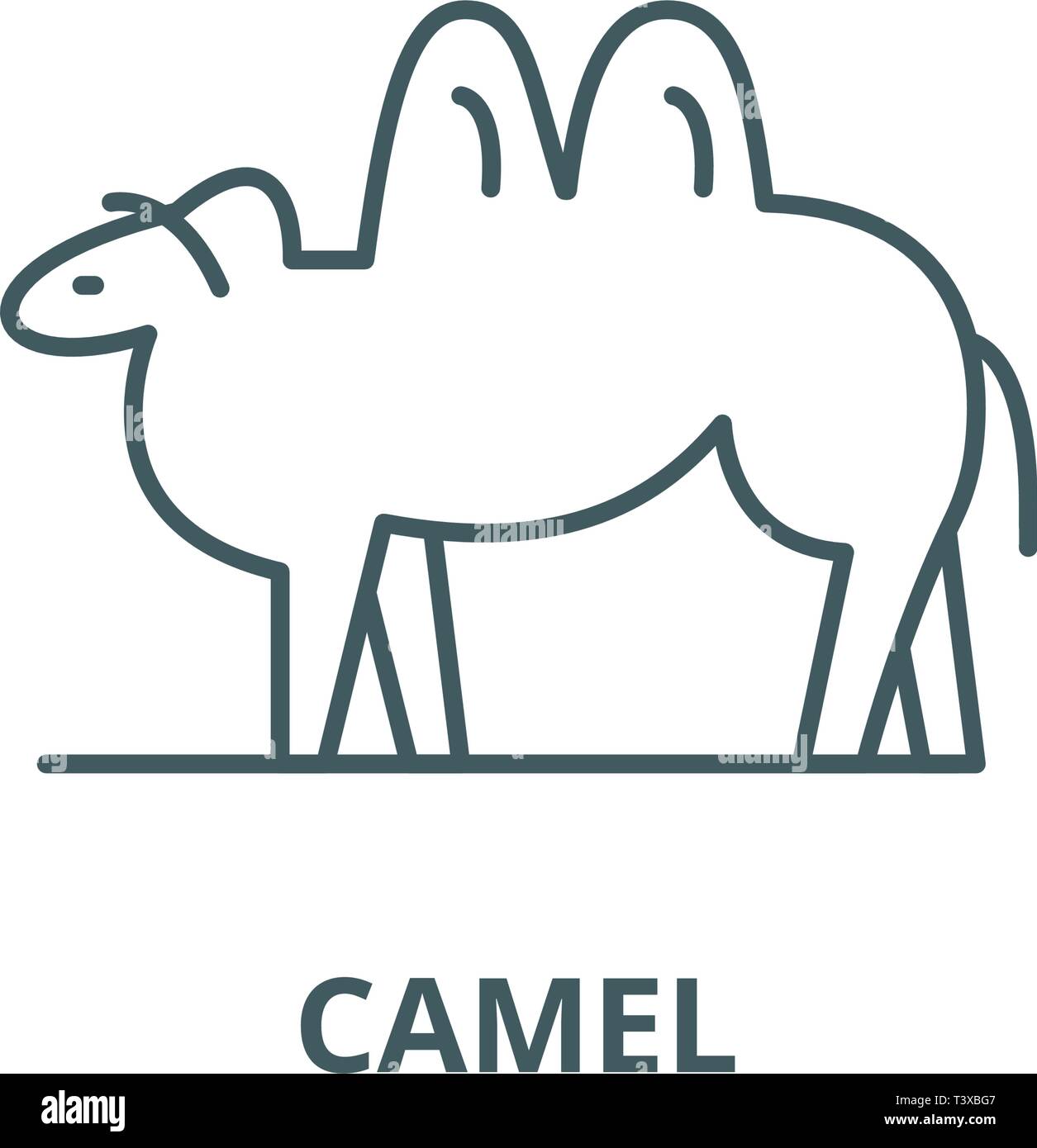 Camel line icon, vector. Camel outline sign, concept symbol, flat ...
