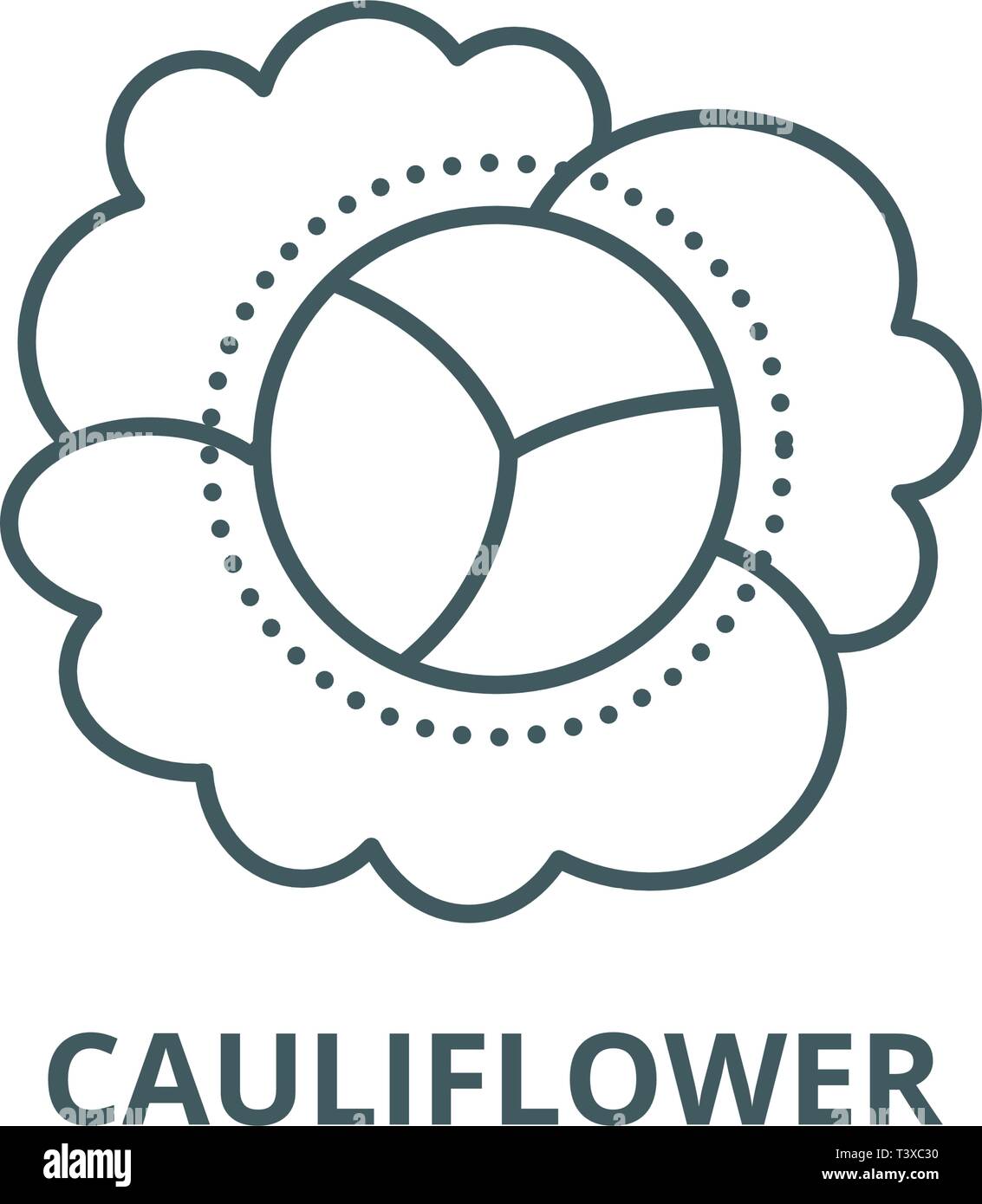 Cauliflower line icon, vector. Cauliflower outline sign, concept symbol ...