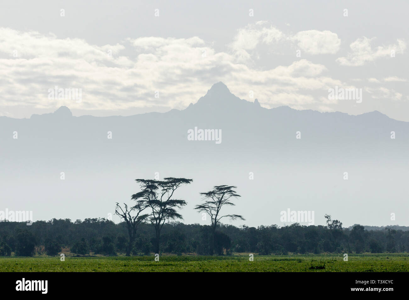 Mount kenya landscape hi-res stock photography and images - Alamy