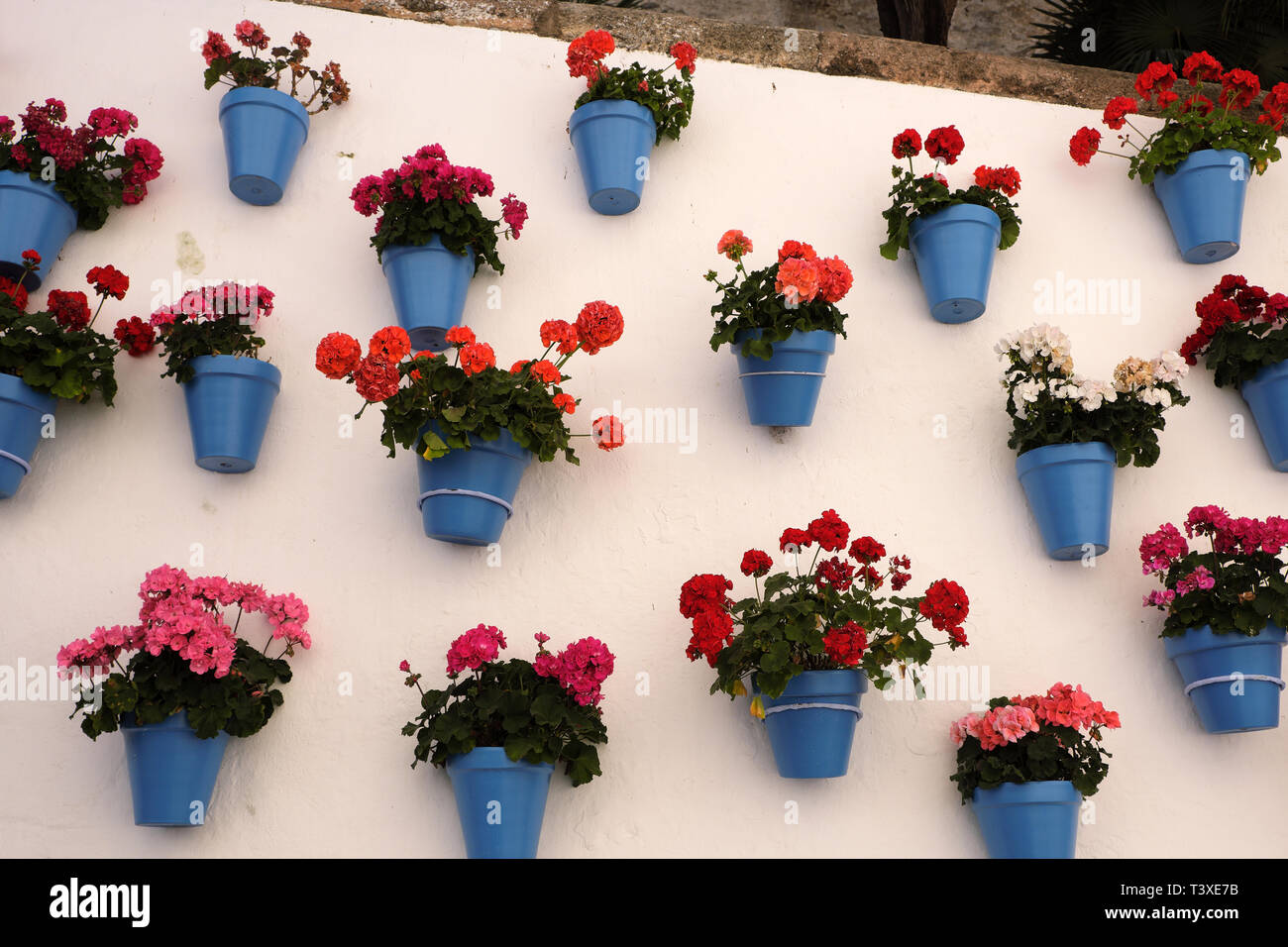 Flower pot display hi-res stock photography and images - Alamy