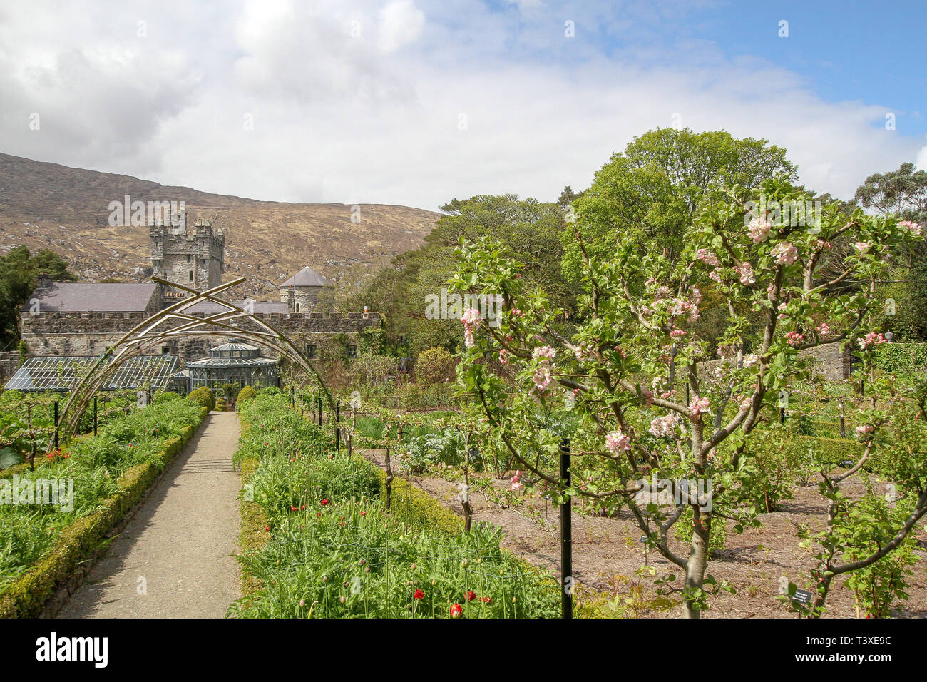 Glenveagh national park and gardens hi-res stock photography and images ...