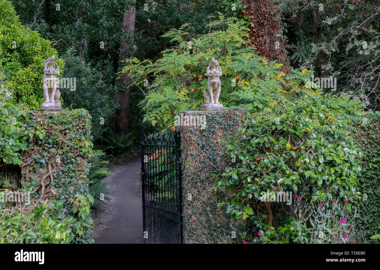The gardens at Glenveagh Castle in the Glenveagh National Park, County ...