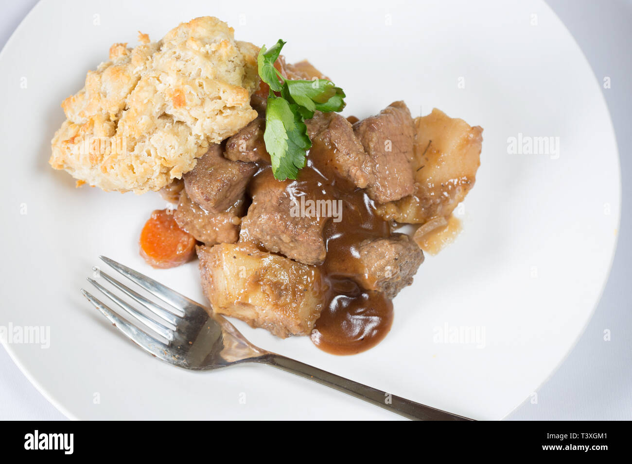 A classic plate of Beef stew served with a suet dumpling Stock Photo ...