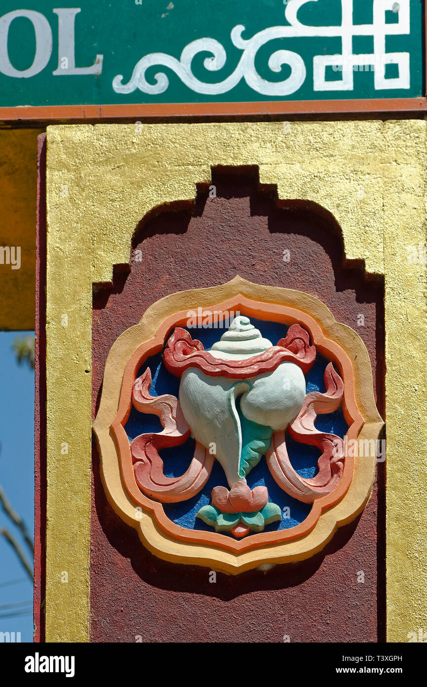 Shell relief hi-res stock photography and images - Alamy