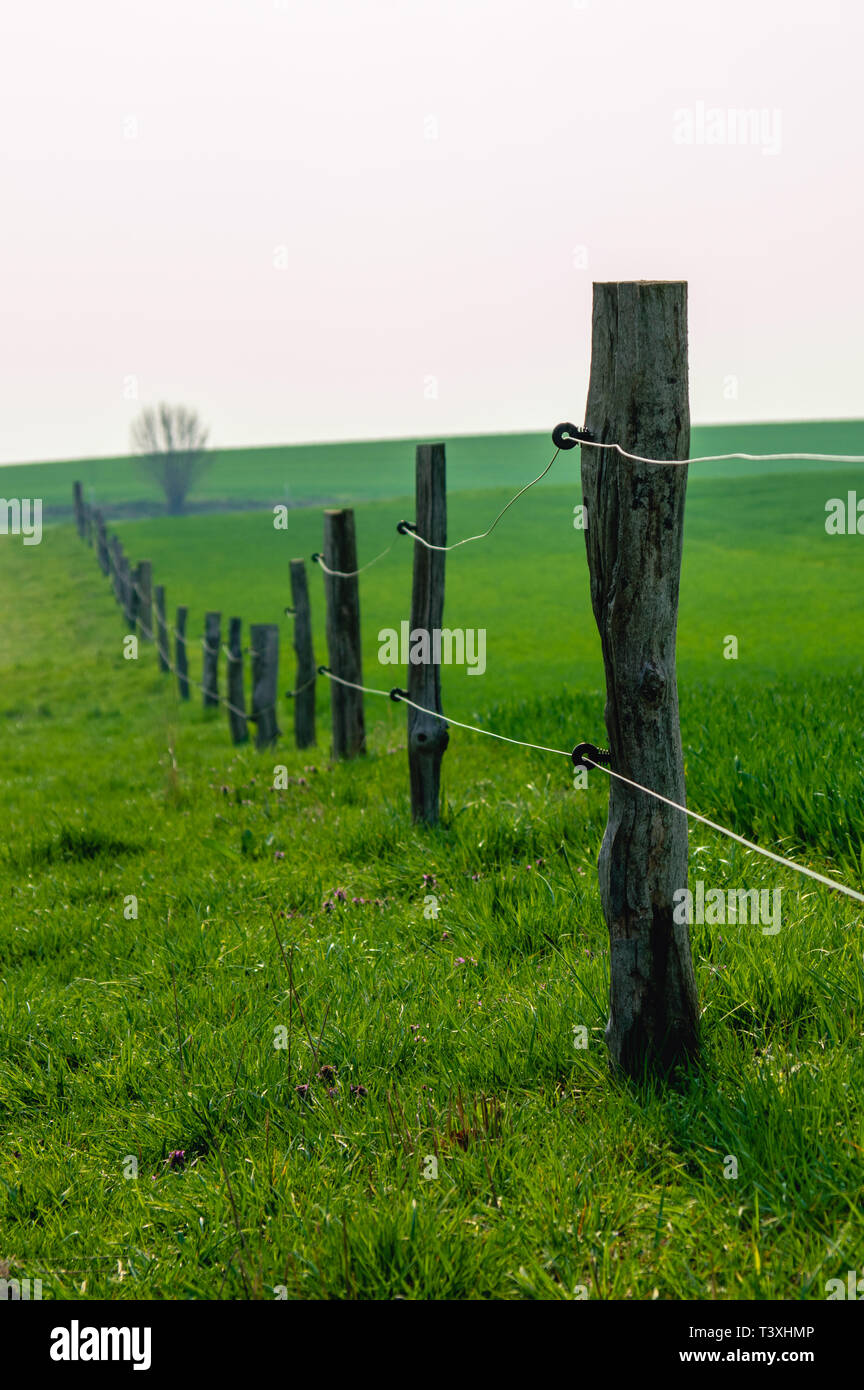 wire fence between wooden fence posts on between two lush green meadows ...