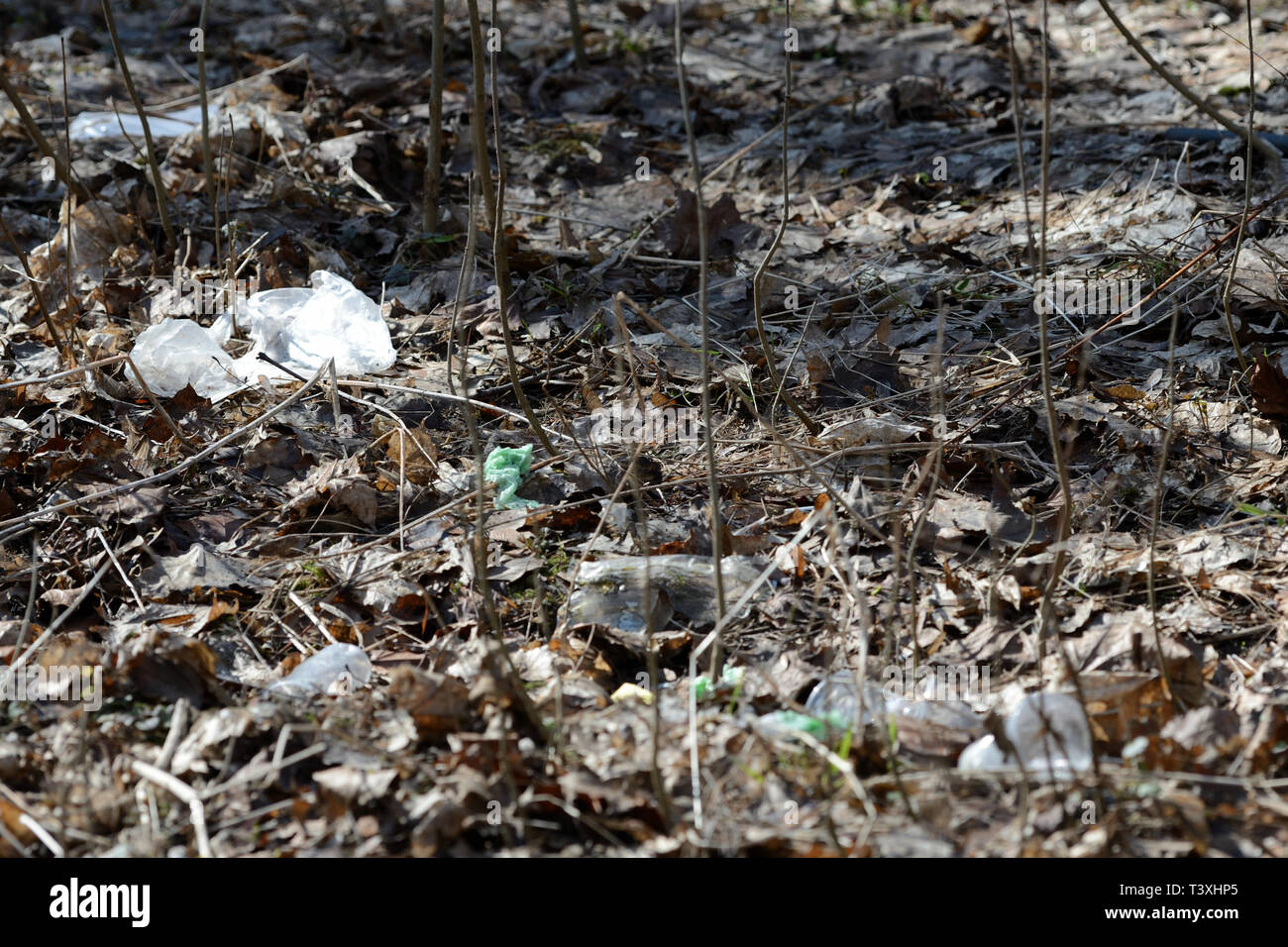 Garbage in the spring forest. The problem of ecology and pollution of ...