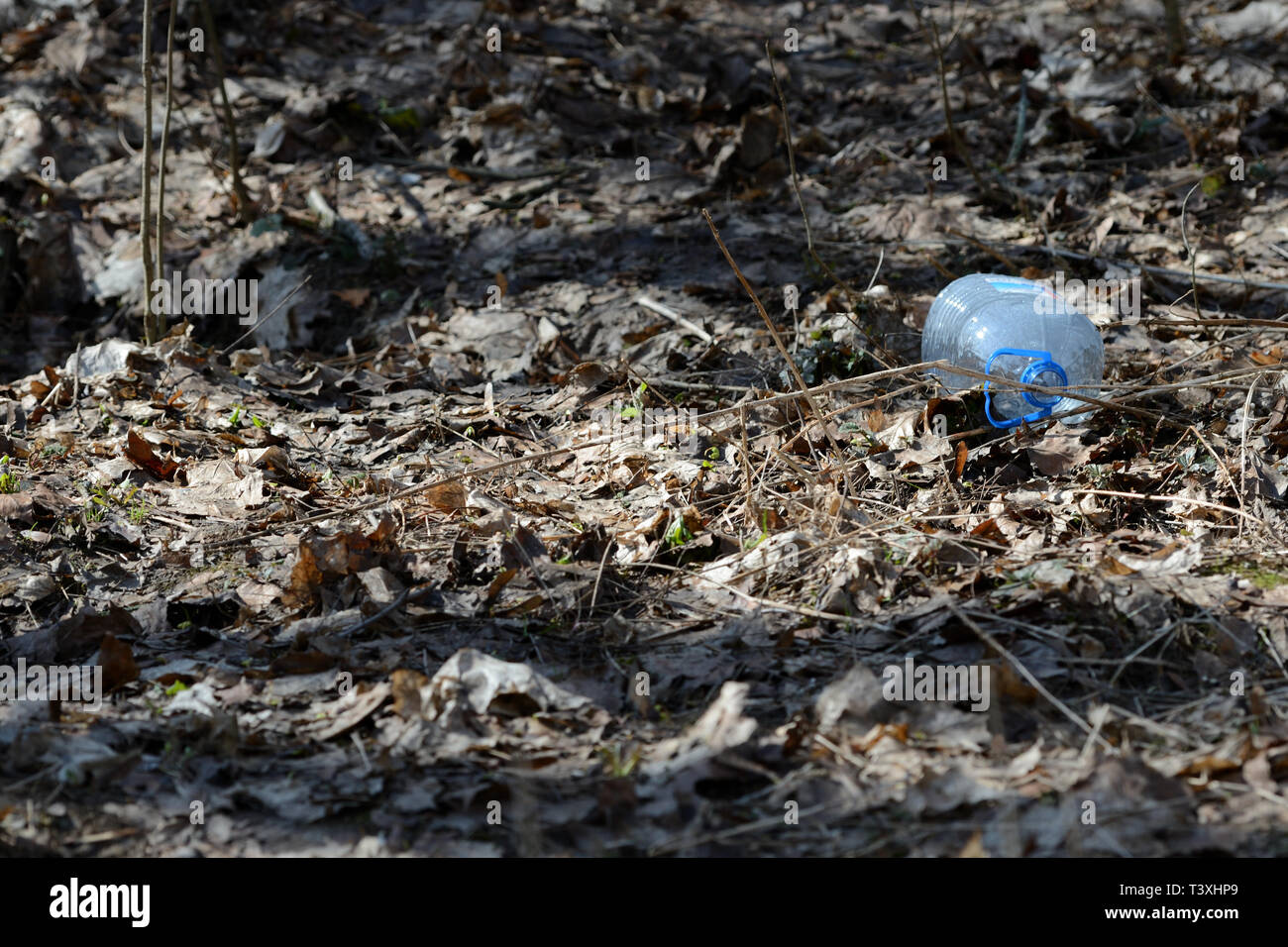 Garbage in the spring forest. The problem of ecology and pollution of ...