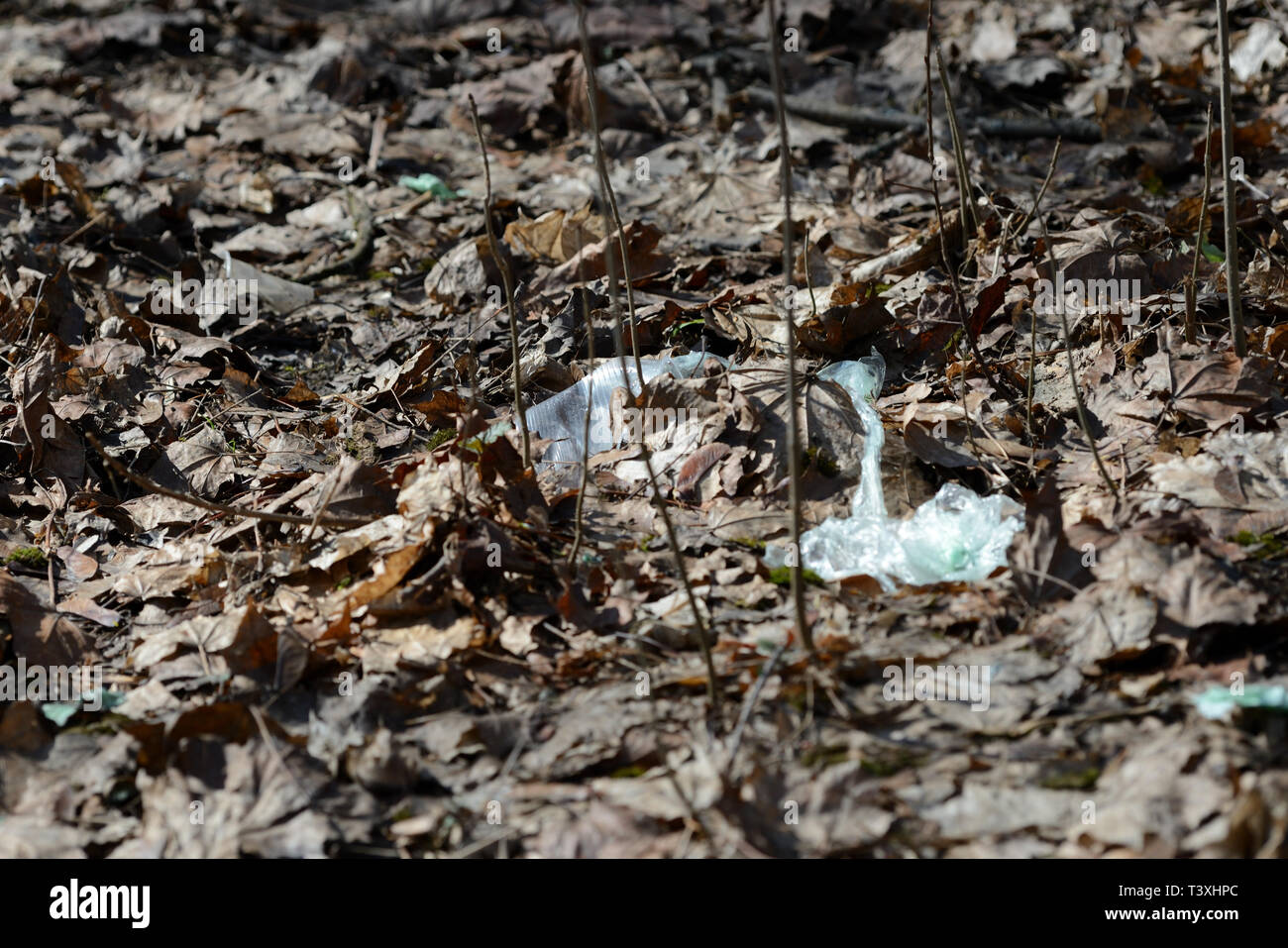 Garbage in the spring forest. The problem of ecology and pollution of ...
