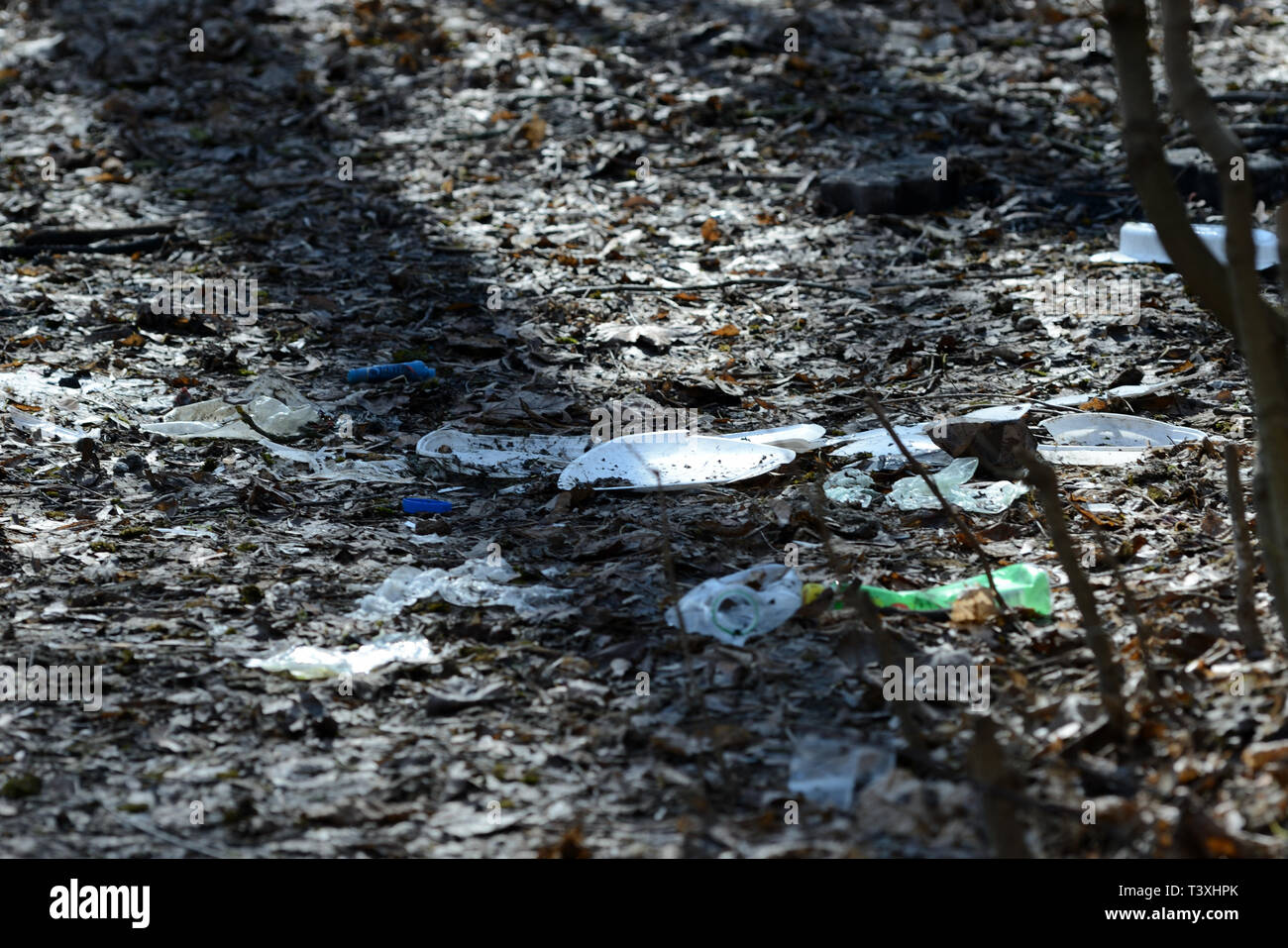 Garbage in the spring forest. The problem of ecology and pollution of ...