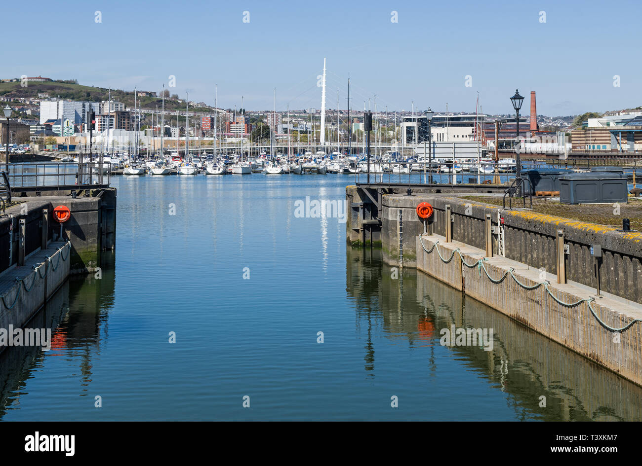 Tawe hi-res stock photography and images - Alamy