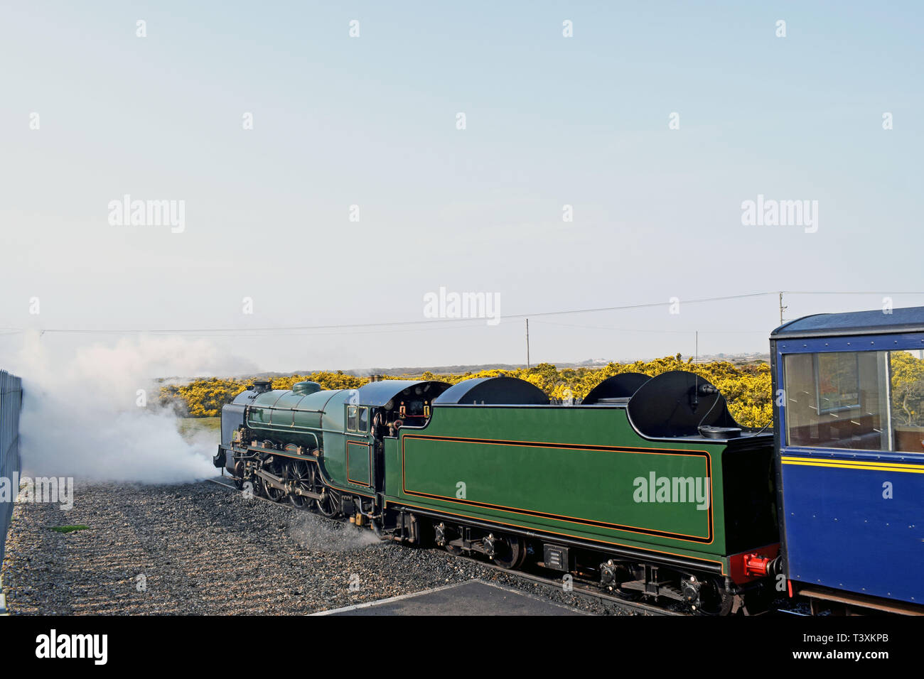 Miniature steam locomotive hi-res stock photography and images - Alamy