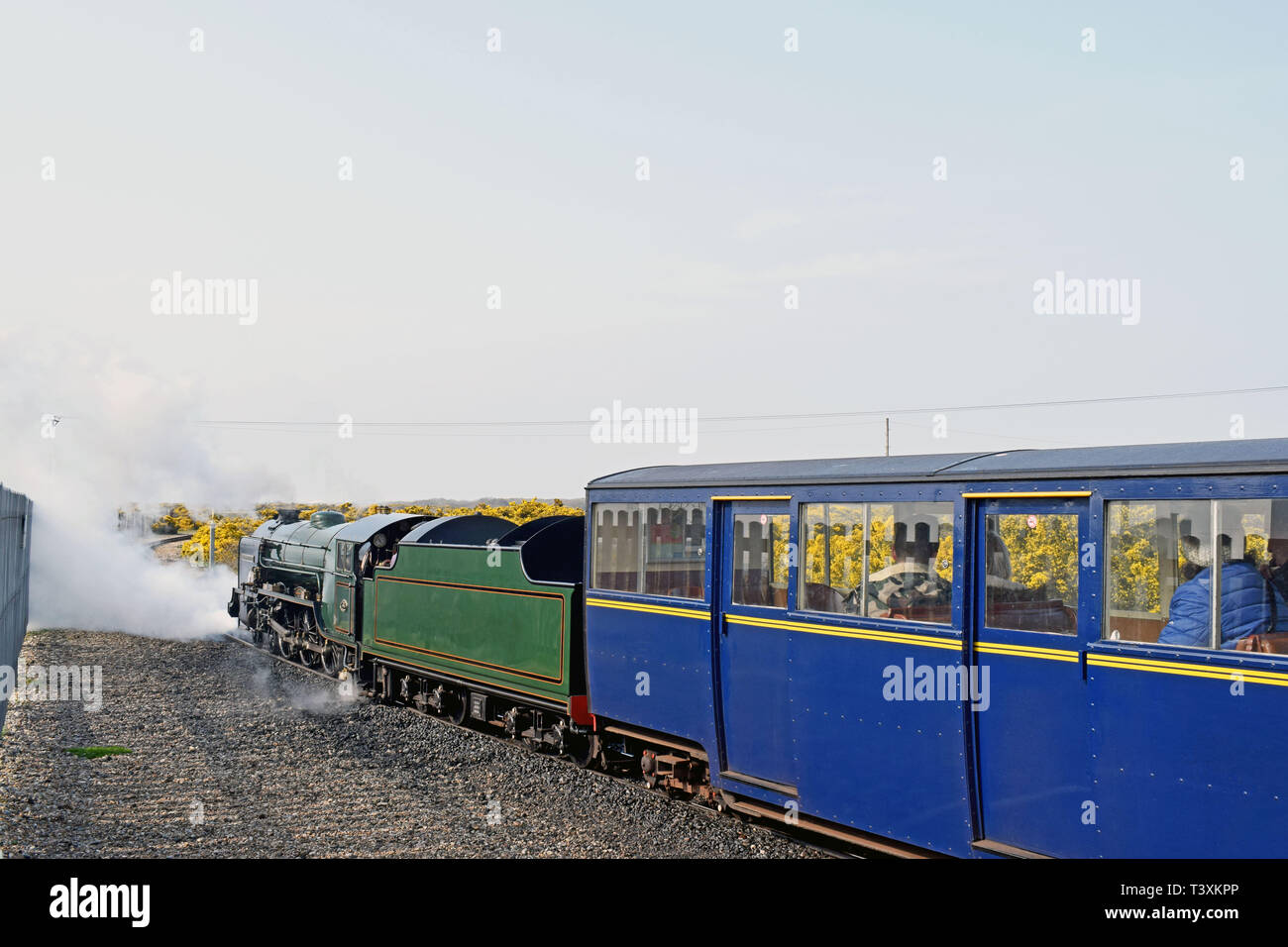 Miniature steam locomotive hi-res stock photography and images - Alamy