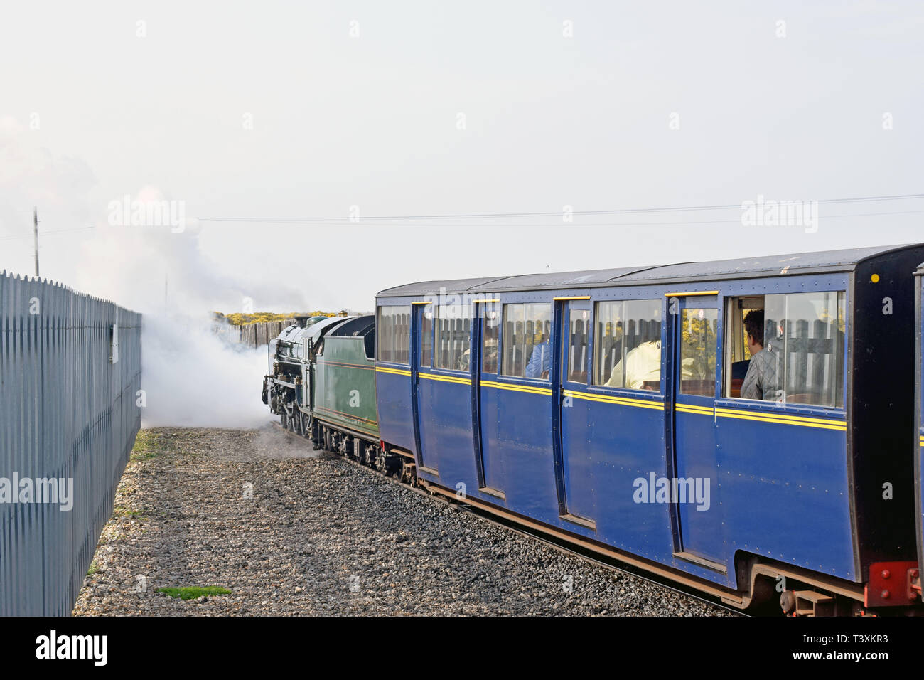 Miniature steam locomotive hi-res stock photography and images - Alamy