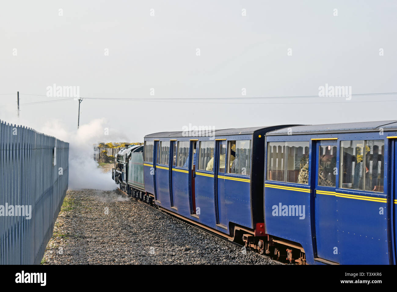 Miniature steam locomotive hi-res stock photography and images - Alamy