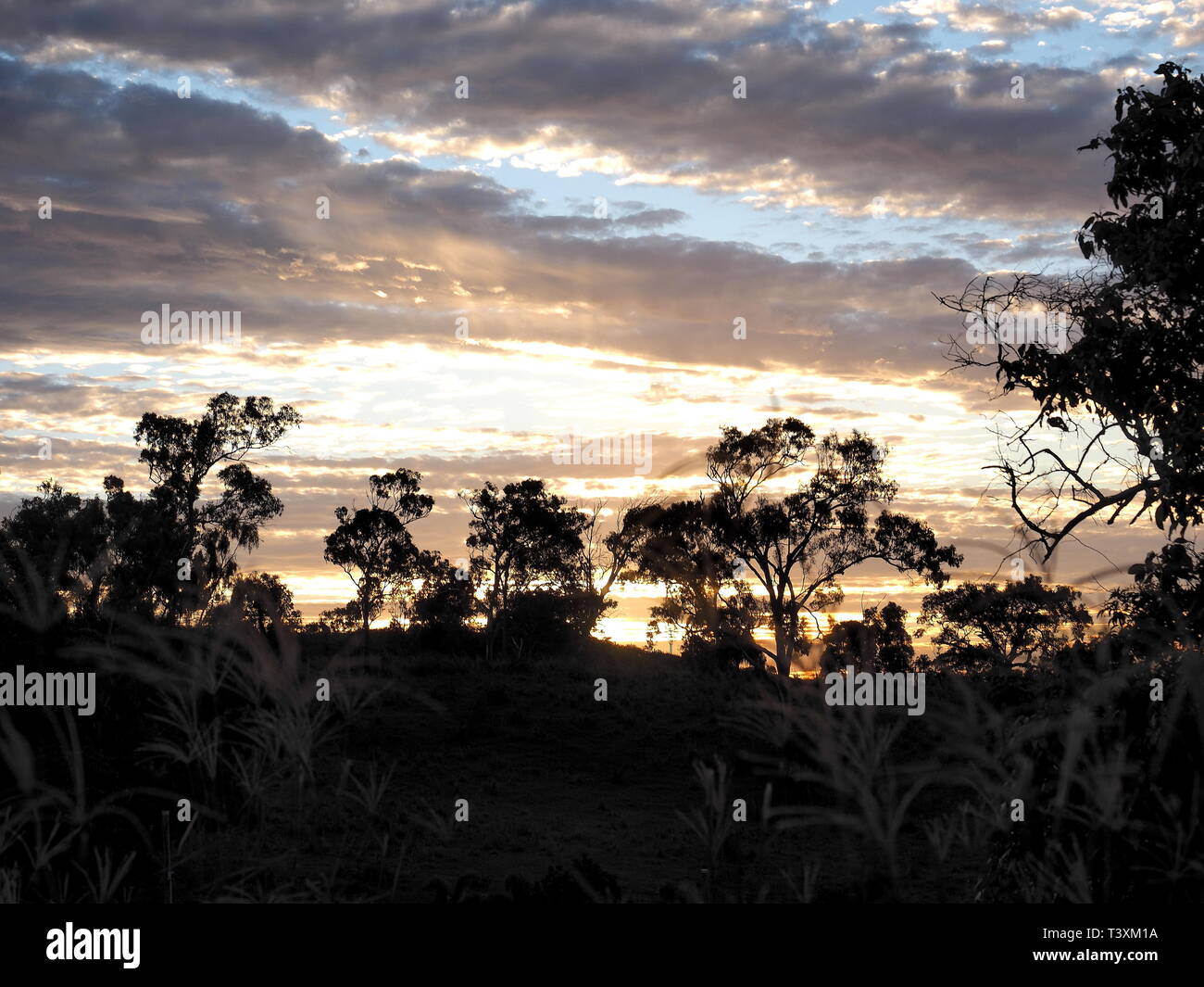 Australian bush sunset hi-res stock photography and images - Alamy