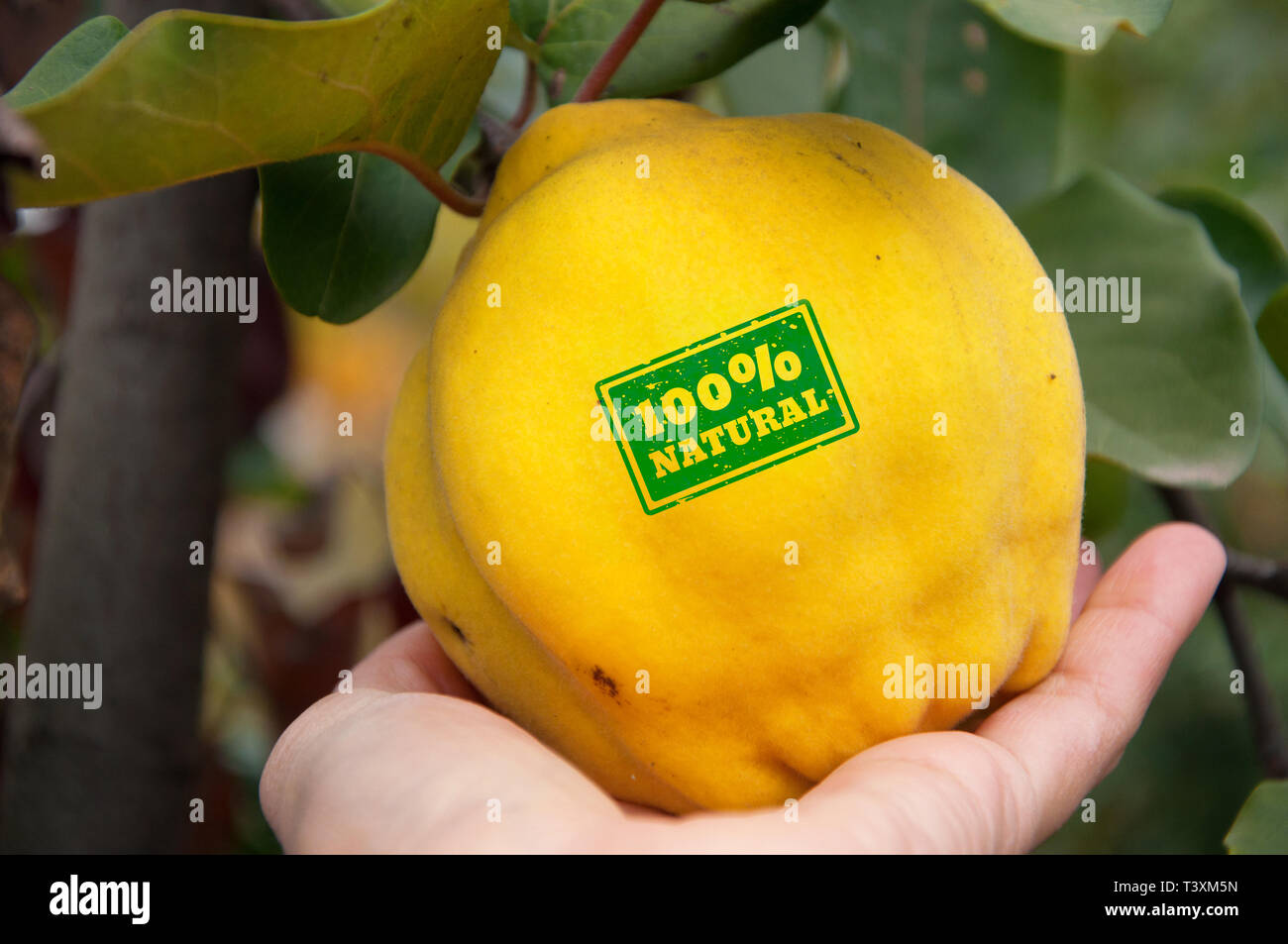 Close up hand in yellow hi-res stock photography and images - Alamy