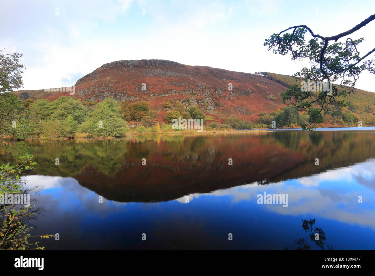 Cambrian mountain wales hi-res stock photography and images - Alamy