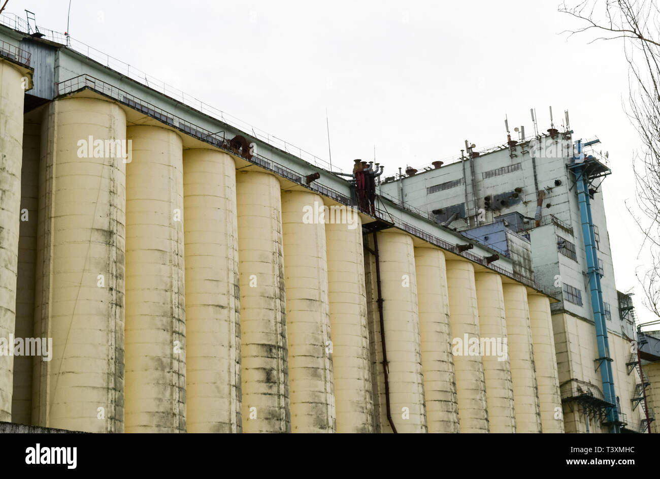 Building for storing and drying grain. Soviet-built elevator Stock ...