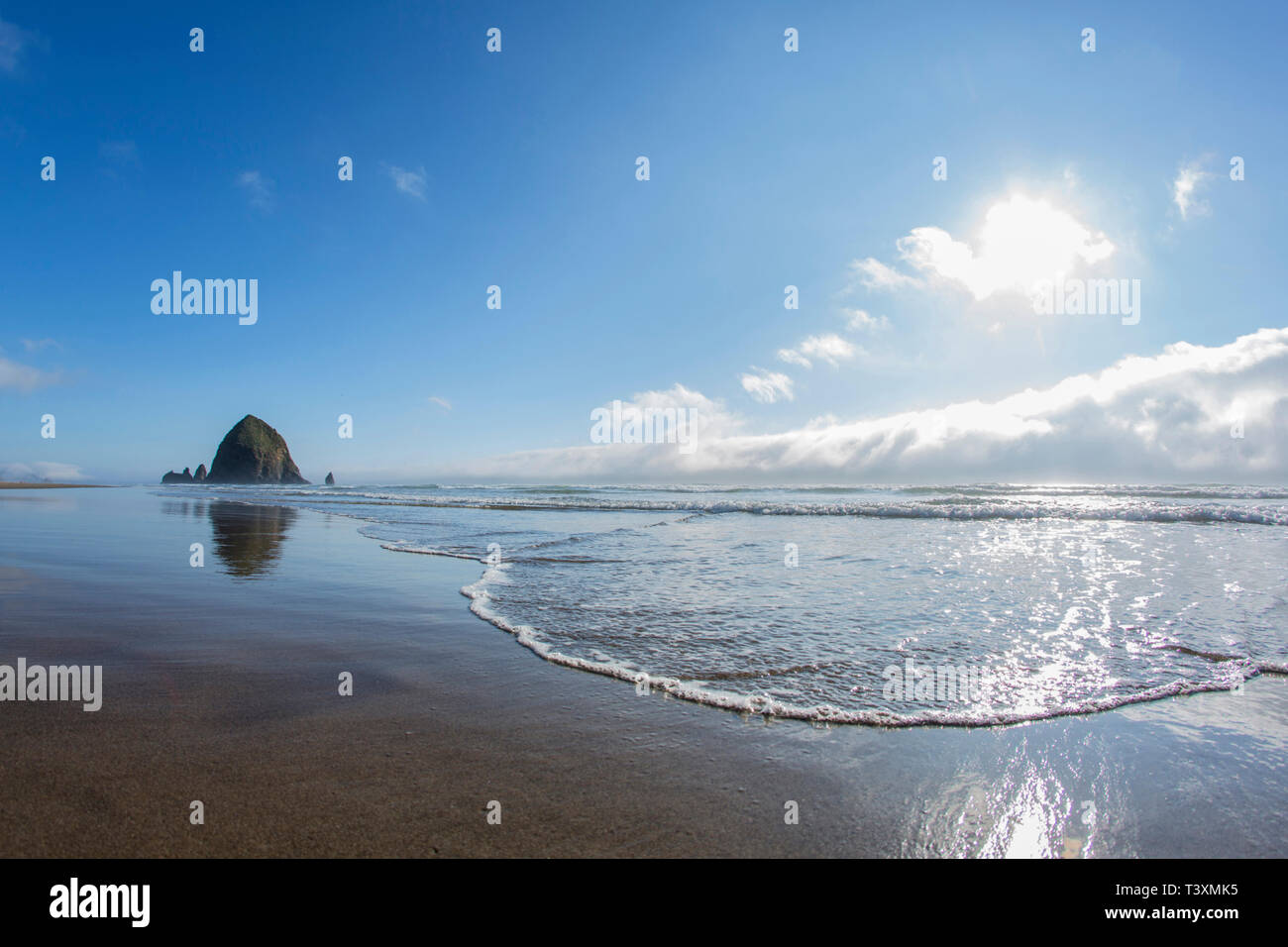 Haystack Rock reflecting in ocean waves, Cannon Beach, Oregon, United ...