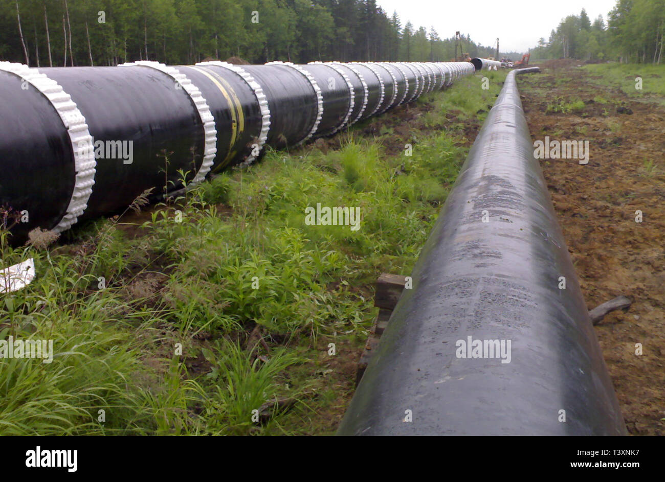 Construction of the gas pipeline on the ground. Transportation of ...
