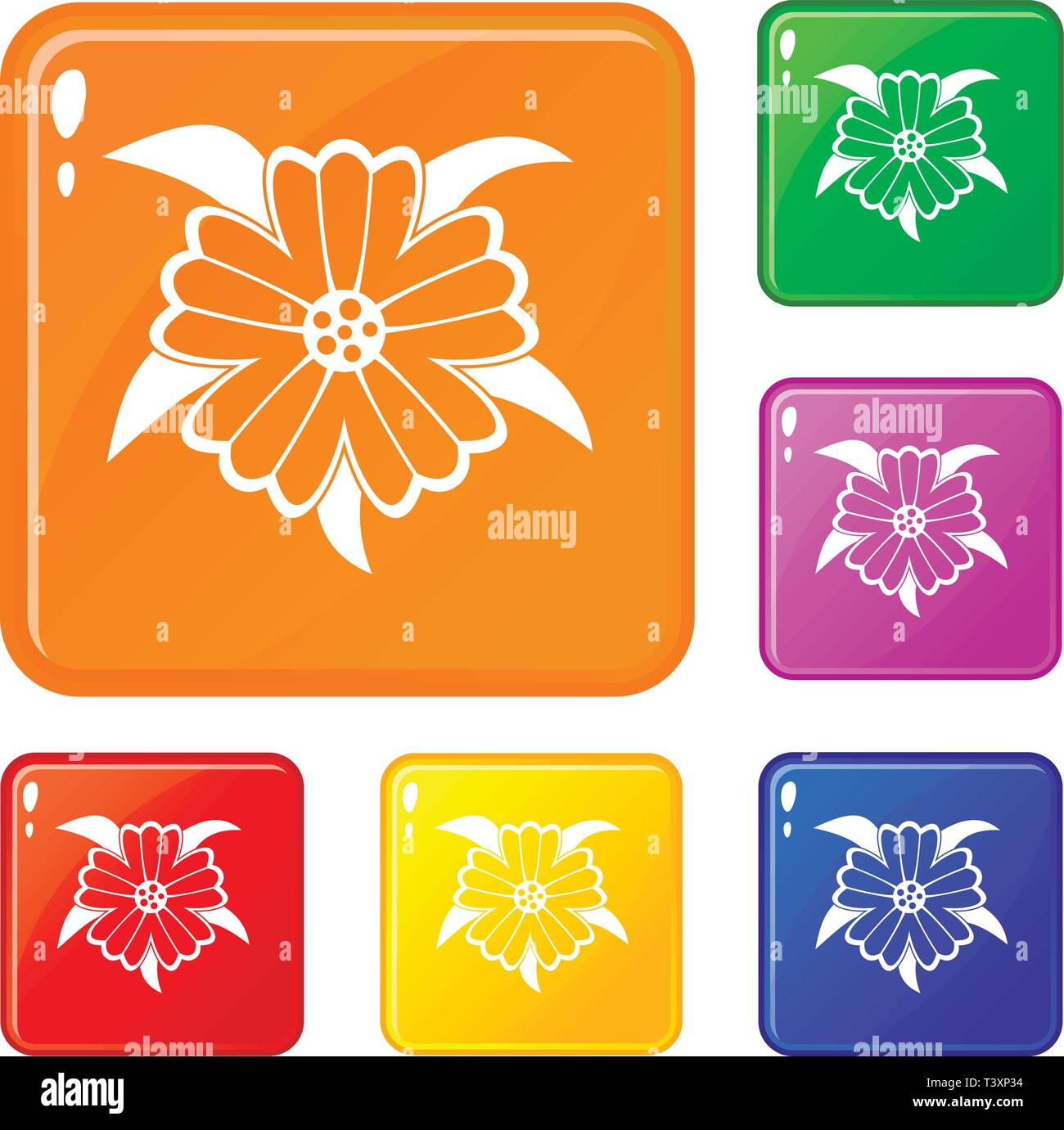 Flower icons set vector color Stock Vector Image & Art - Alamy