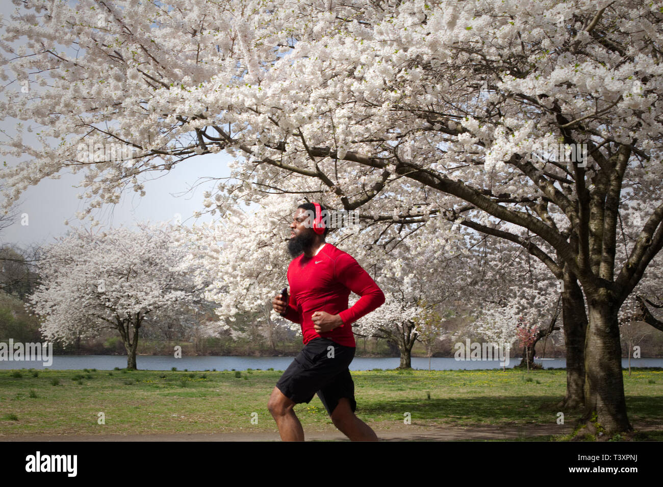 Philadelphia, PA, USA - April 9, 2019: An African American man jogs ...