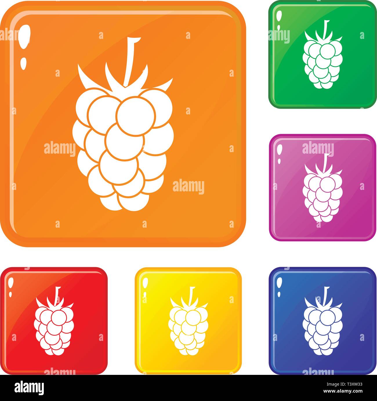 Blackberry fruit icons set vector color Stock Vector Image & Art - Alamy