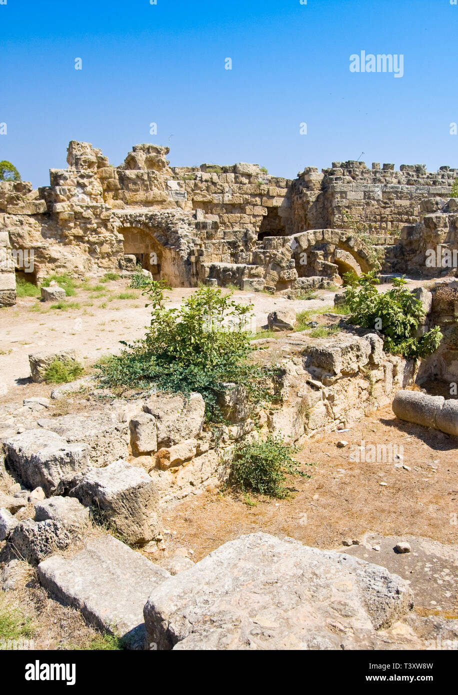 Romans ruins of the city of Salamis, near Famagusta, Northern Cyprus ...