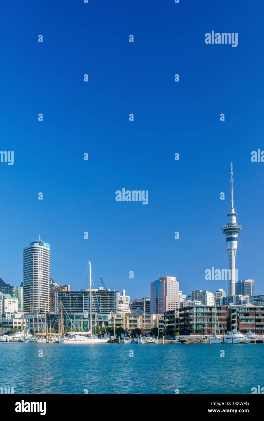 Auckland skyline on waterfront, Auckland, New Zealand Stock Photo - Alamy
