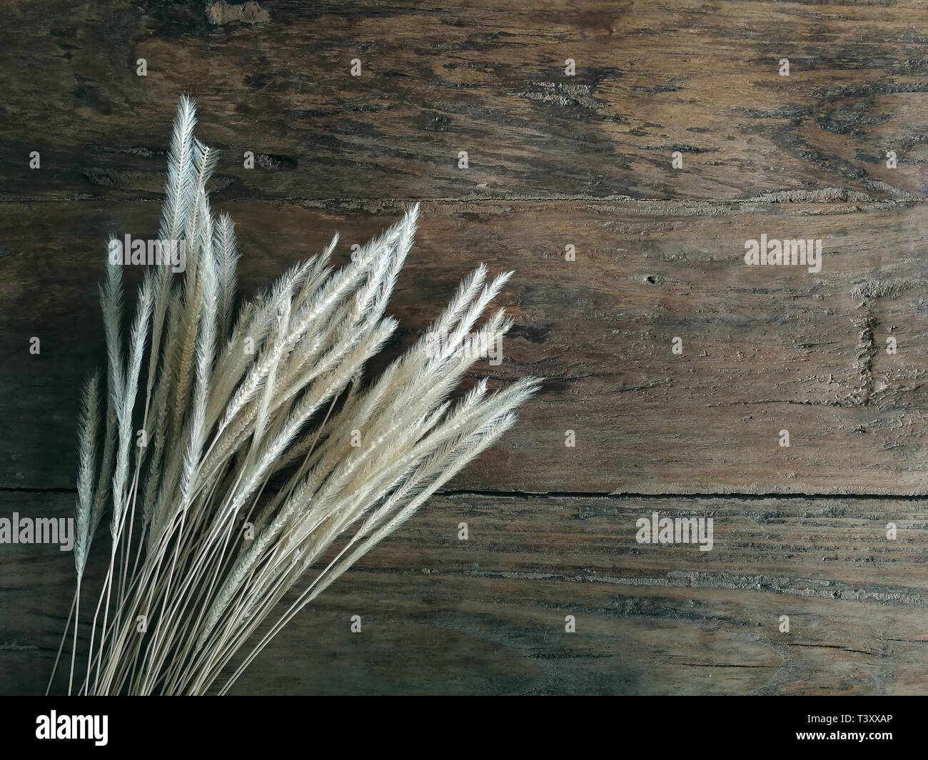 dry grass flower on wood background Stock Photo - Alamy