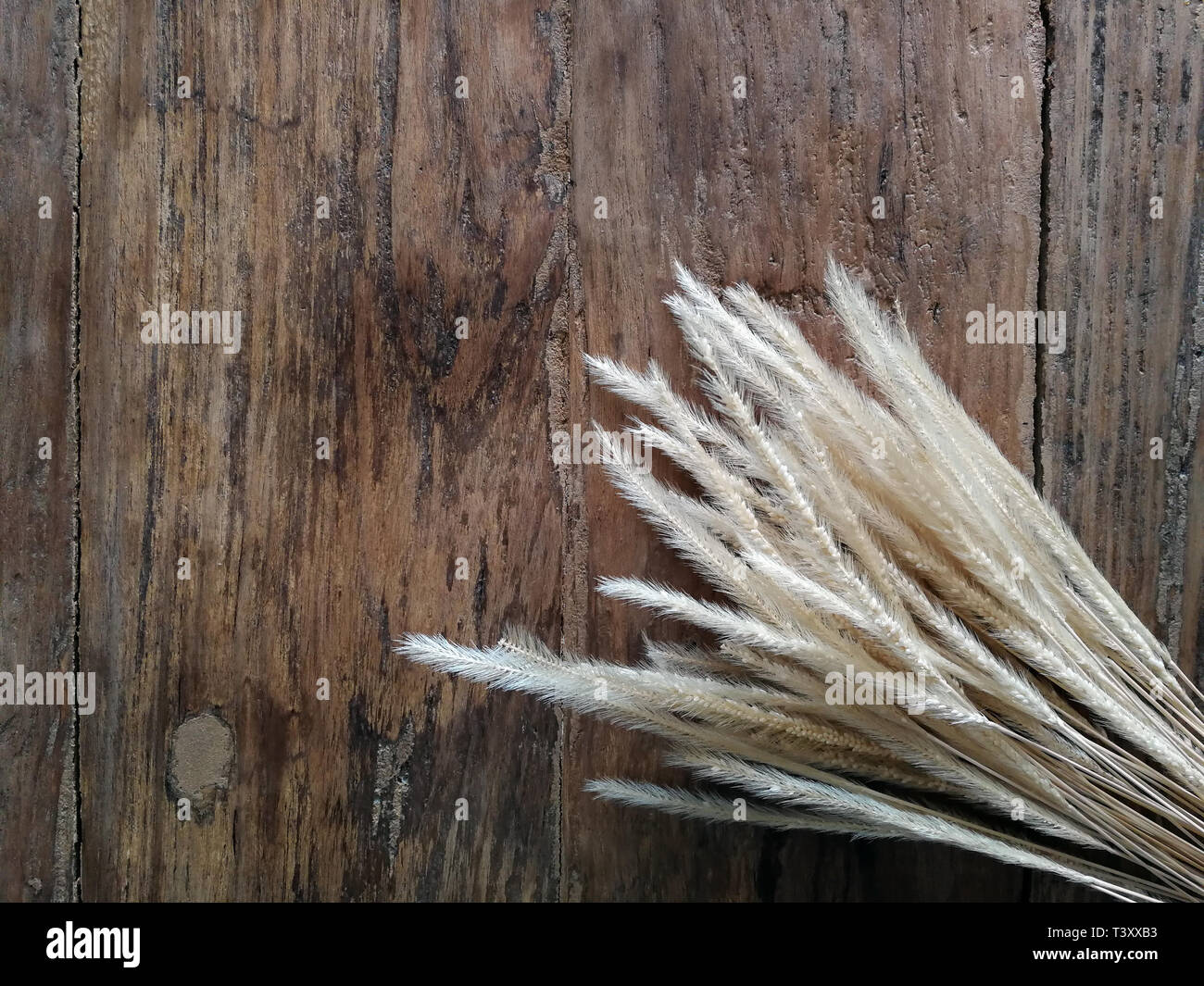 dry grass flower on wood background Stock Photo - Alamy