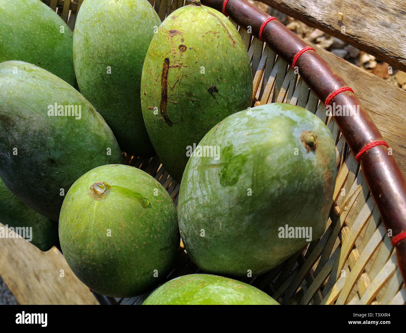 green mango on basket and old wooden desk ,group of mangoes fruit, sour ...