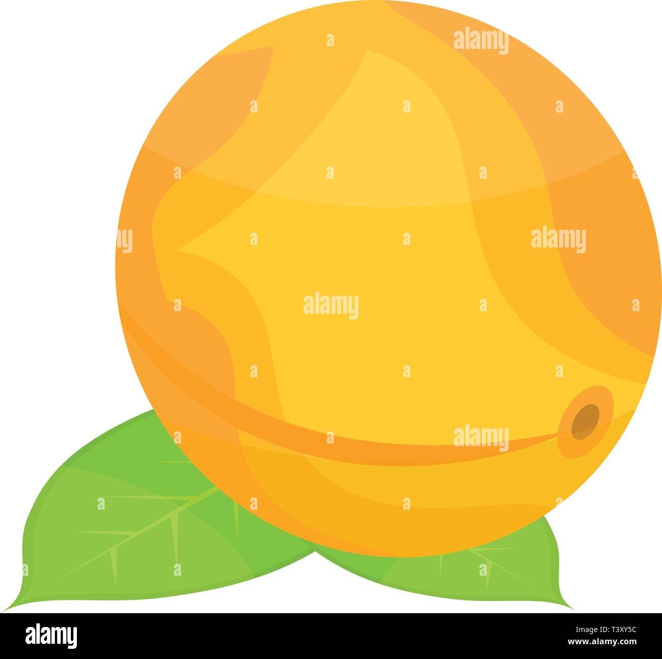 Apricot tree leaves Stock Vector Images - Alamy