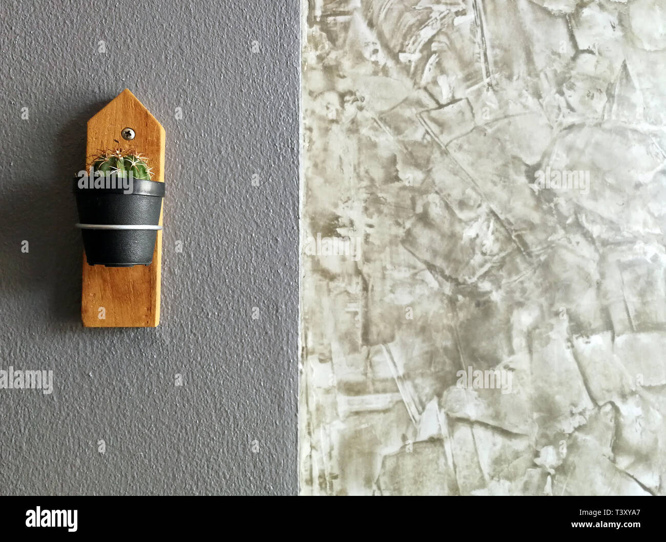 cactus flower modern interior background concept Stock Photo - Alamy