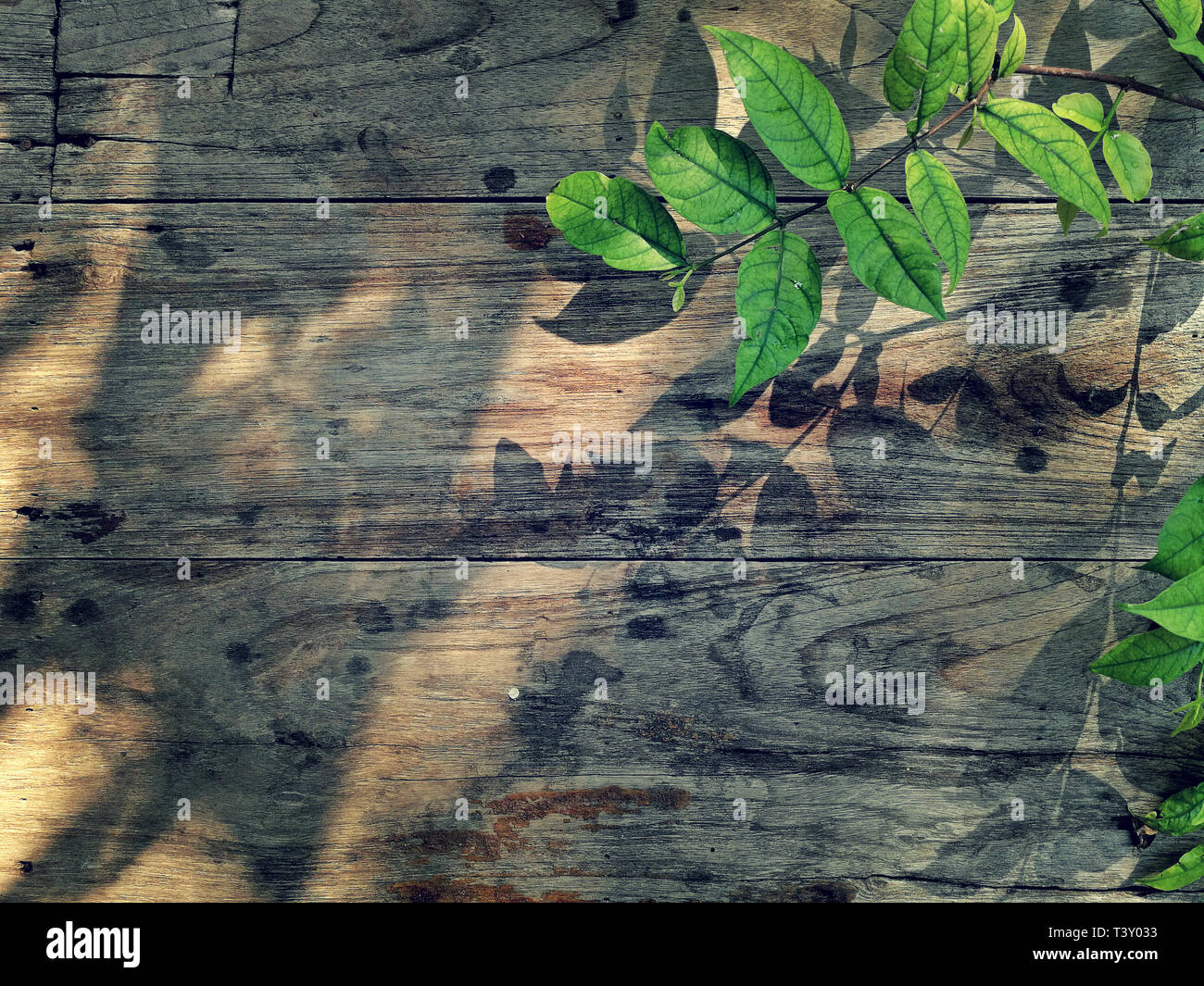 wood texture. background old panels, Abstract background, empty ...