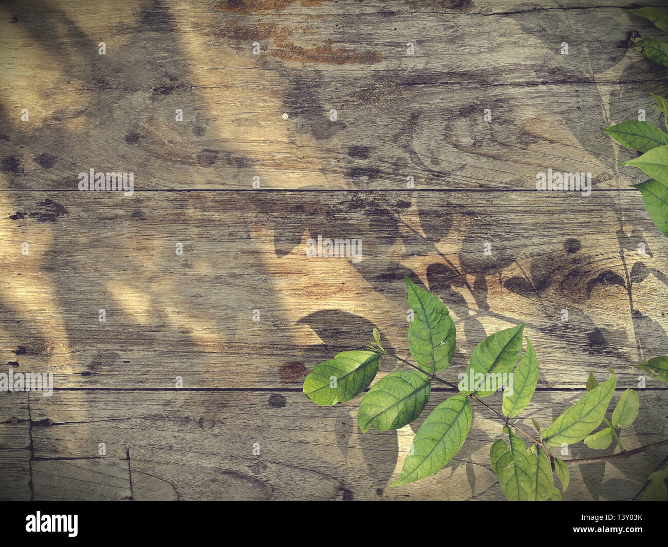 wood texture. background old panels, Abstract background, empty ...