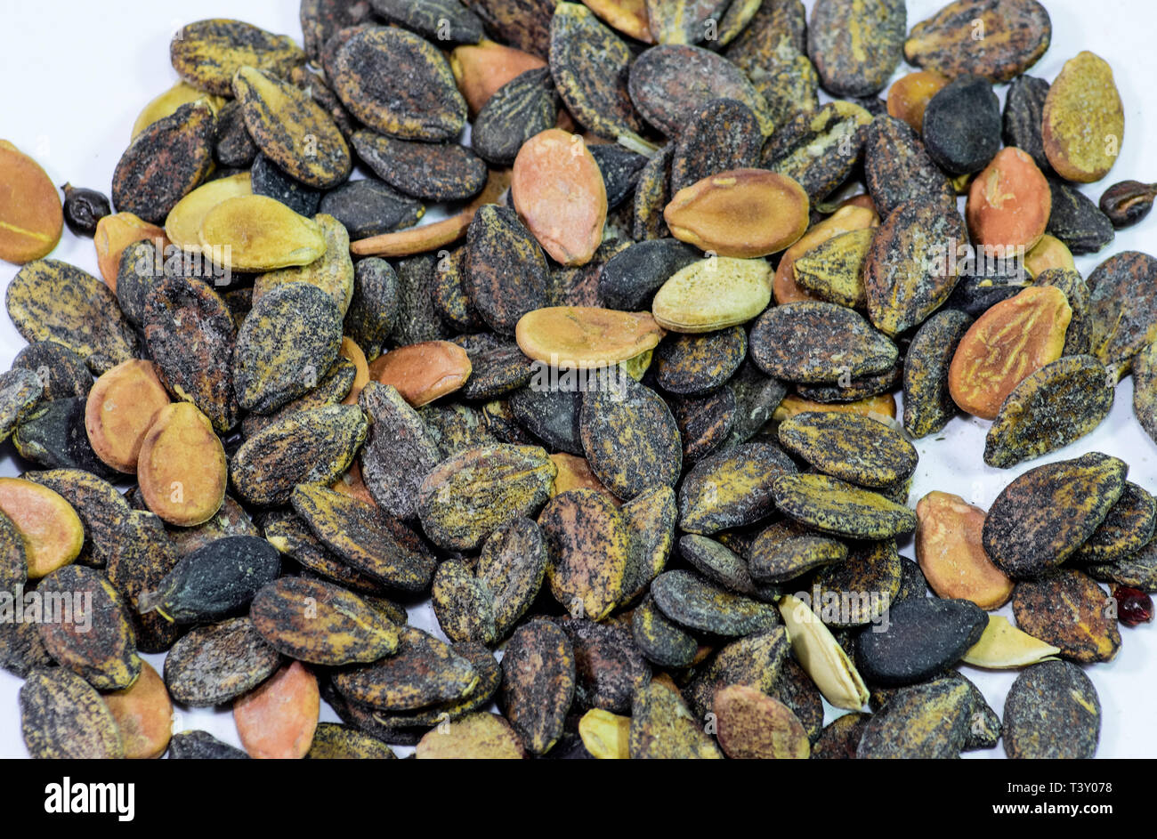Seeds of watermelon on a white background. watermelon seeds for sowing ...
