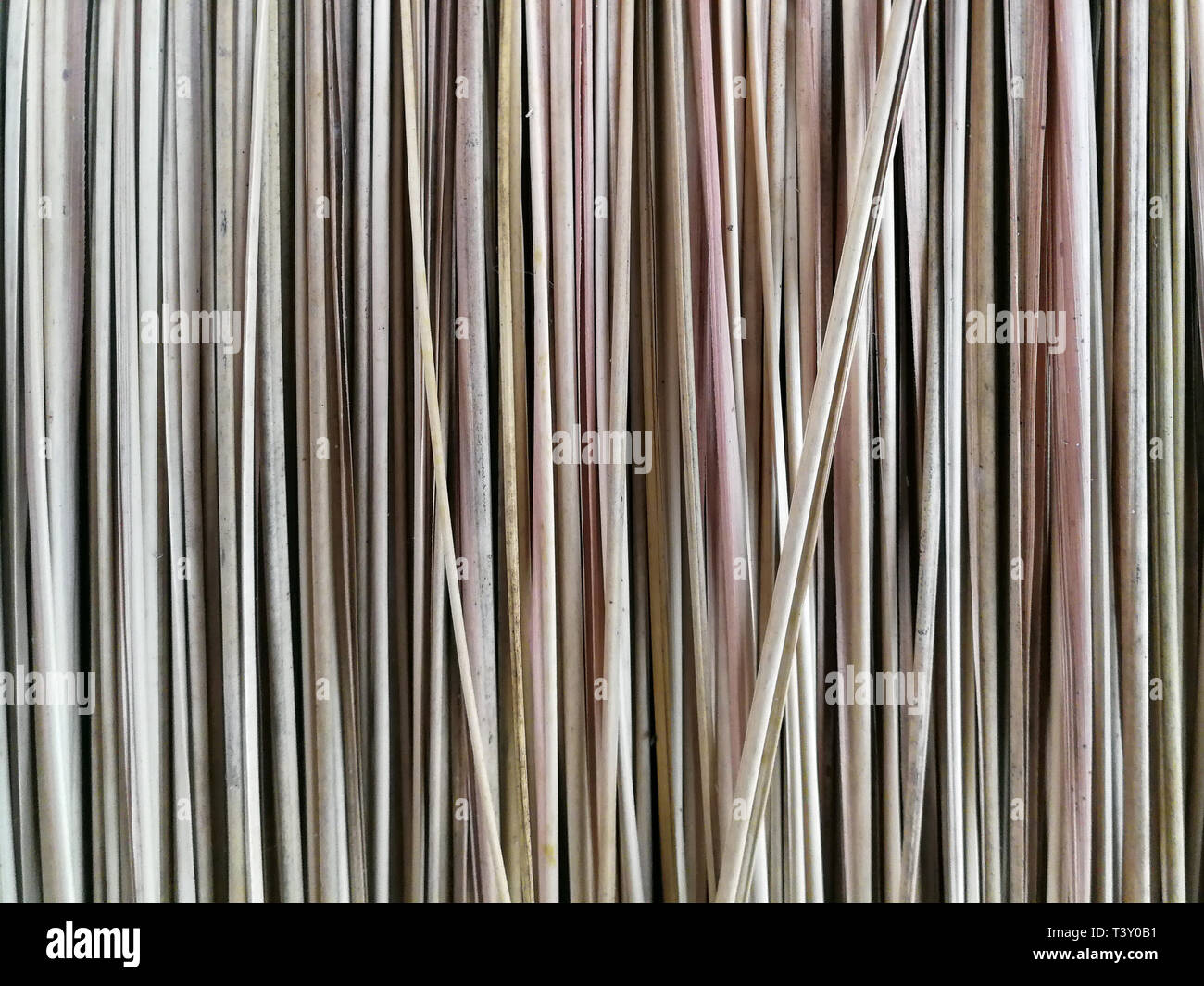 Dried palm tree leaves roof hi-res stock photography and images - Alamy Dried palm tree leaves roof hi-res stock photography and images - Alamy