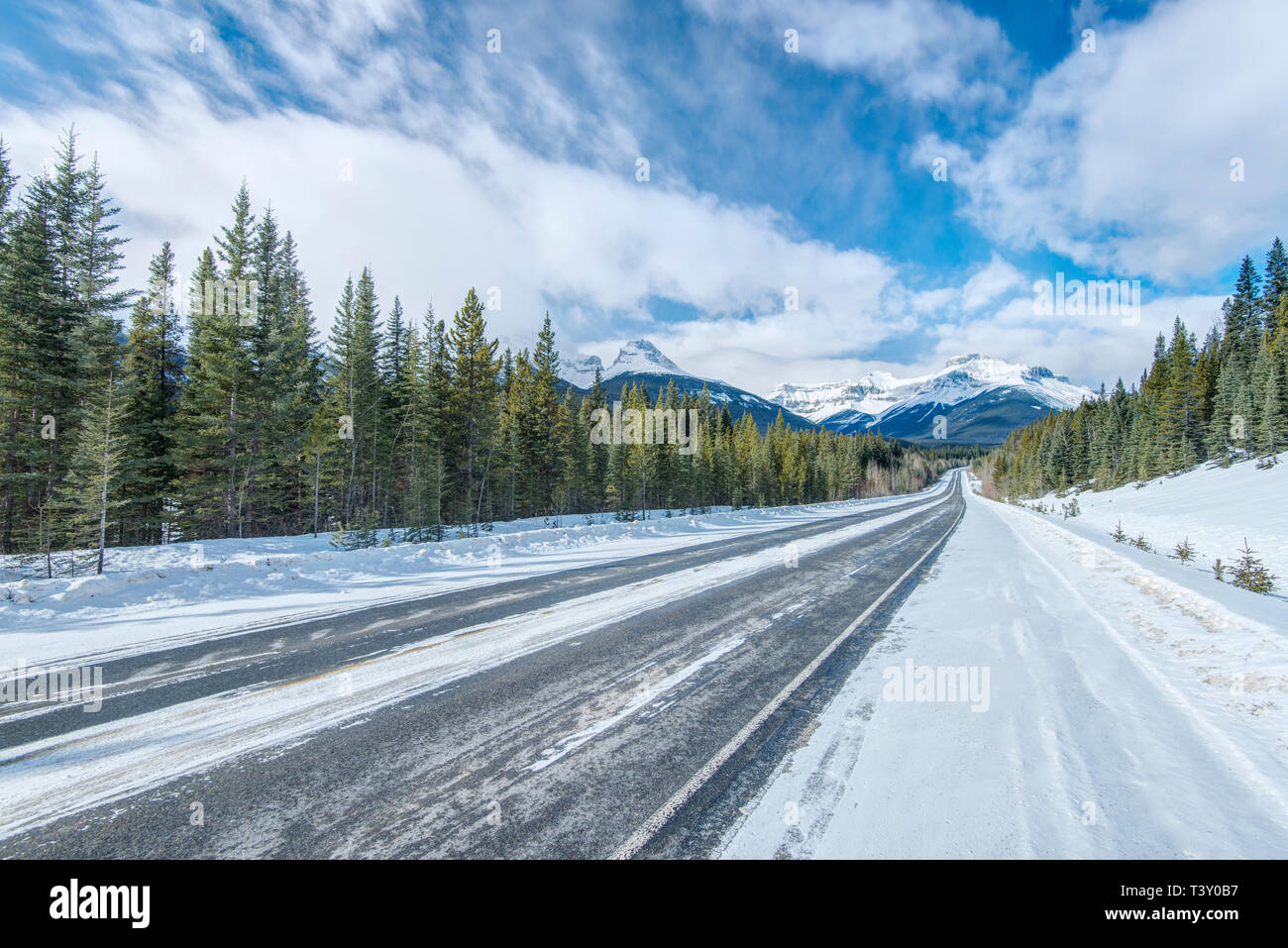 Sunny snowy road alberta hi-res stock photography and images - Alamy